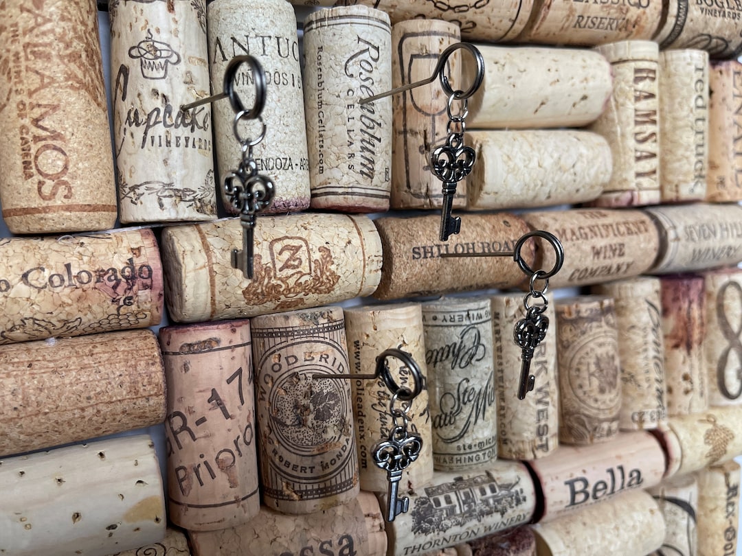 Key Push Pins, Push Pins for Board, Cork Board Pins, Push Pins With Tag ...