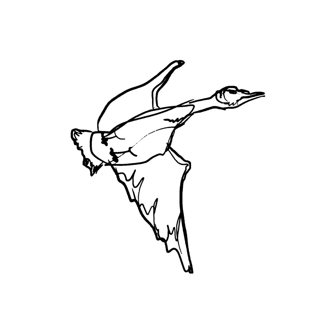 Minimalist Canada Goose Printable | Ink + Brush Line Art | Black ...