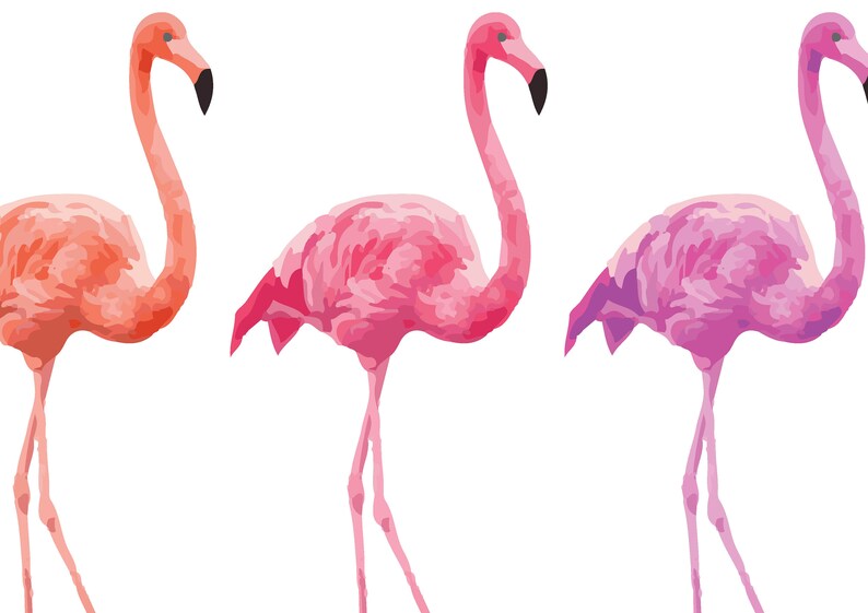 Rainbow Flamingo Art Digital Download, Tropical Animal Wall Hanging ...