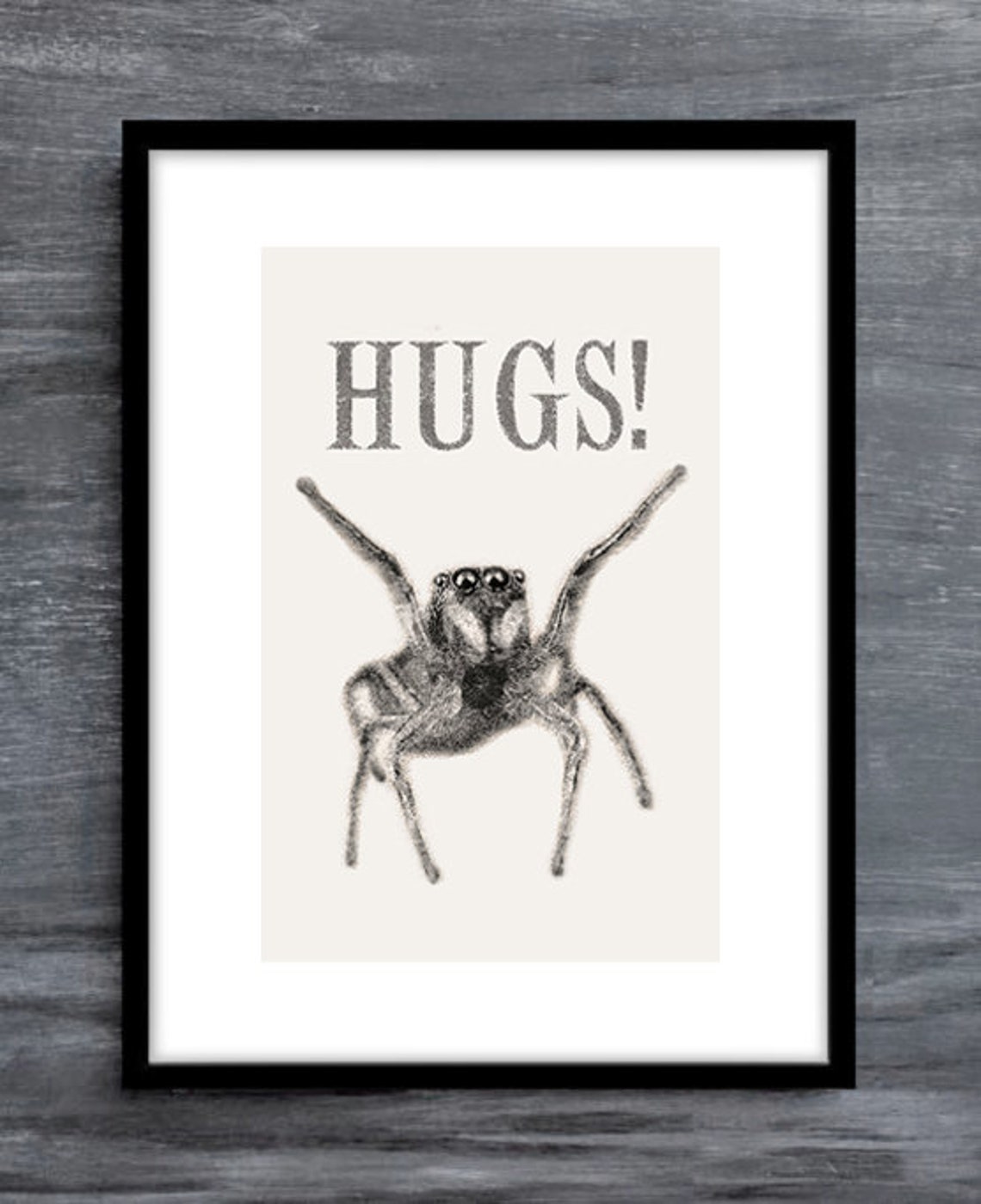 Jumping Spider Hugs Art Print Creepy Cute Spider Art Funny | Etsy
