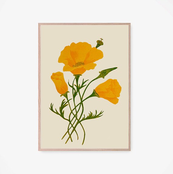 Printable Instant Download Yellow Poppy Flower Digital Print - Etsy