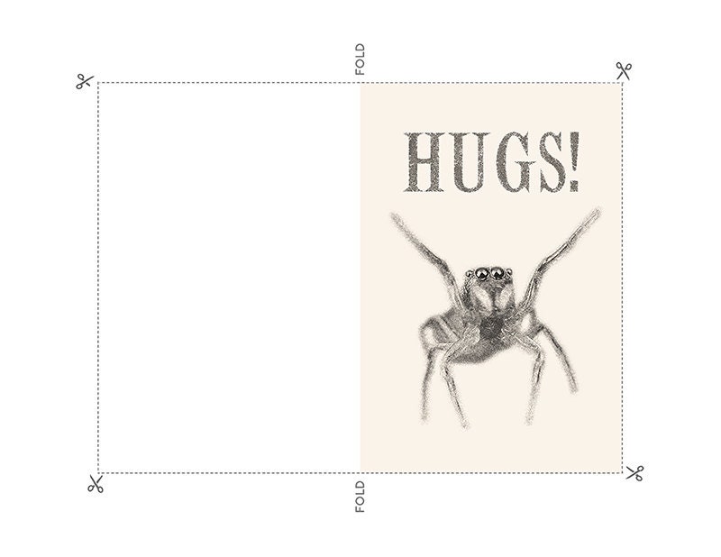 Printable Instant Download, Jumping Spider Card, Hugs - Etsy