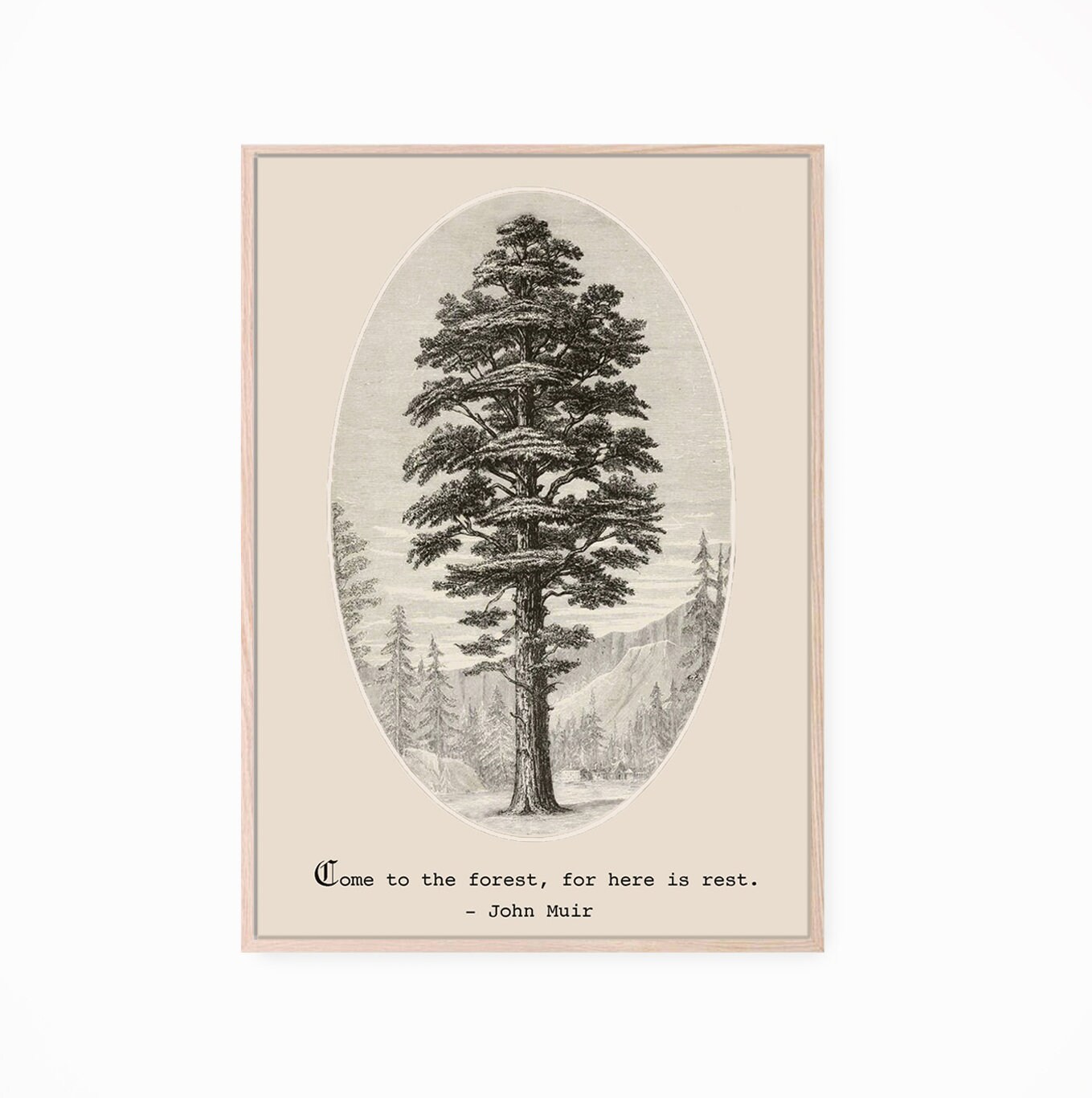 Printable Instant Download, Redwood John Muir Quote Vintage Print ...