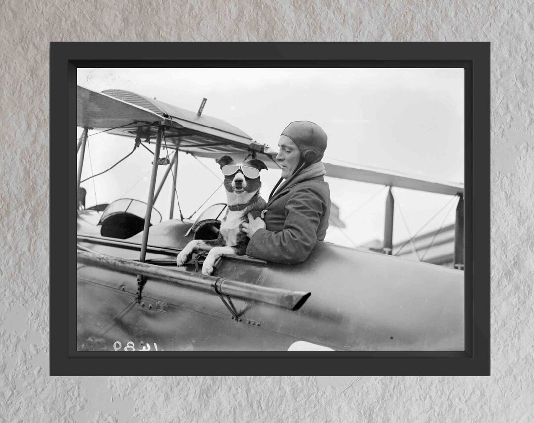 Dog Pilot Vintage Photograph Photo Print Poster Print Wall Decor Art ...