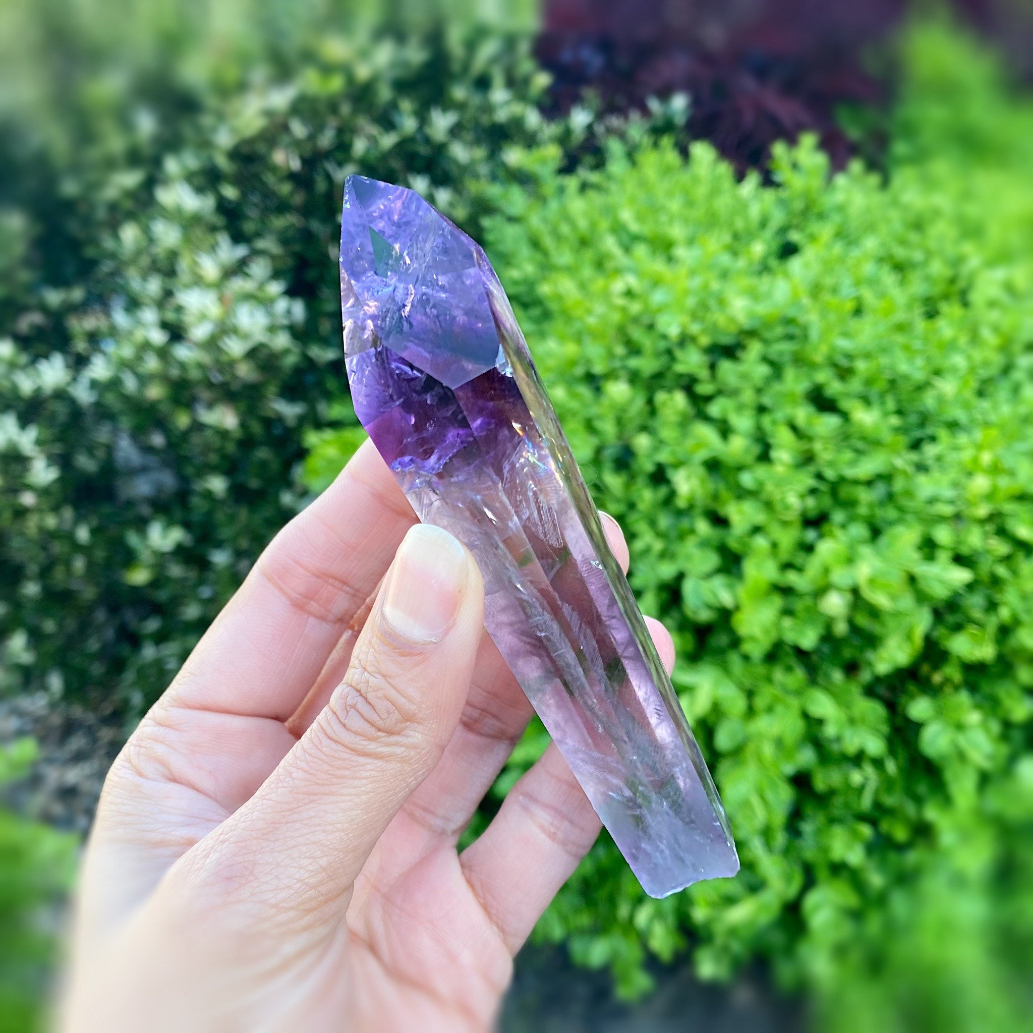Polished Amethyst Root (Royal Amethyst/Dragon Tooth)