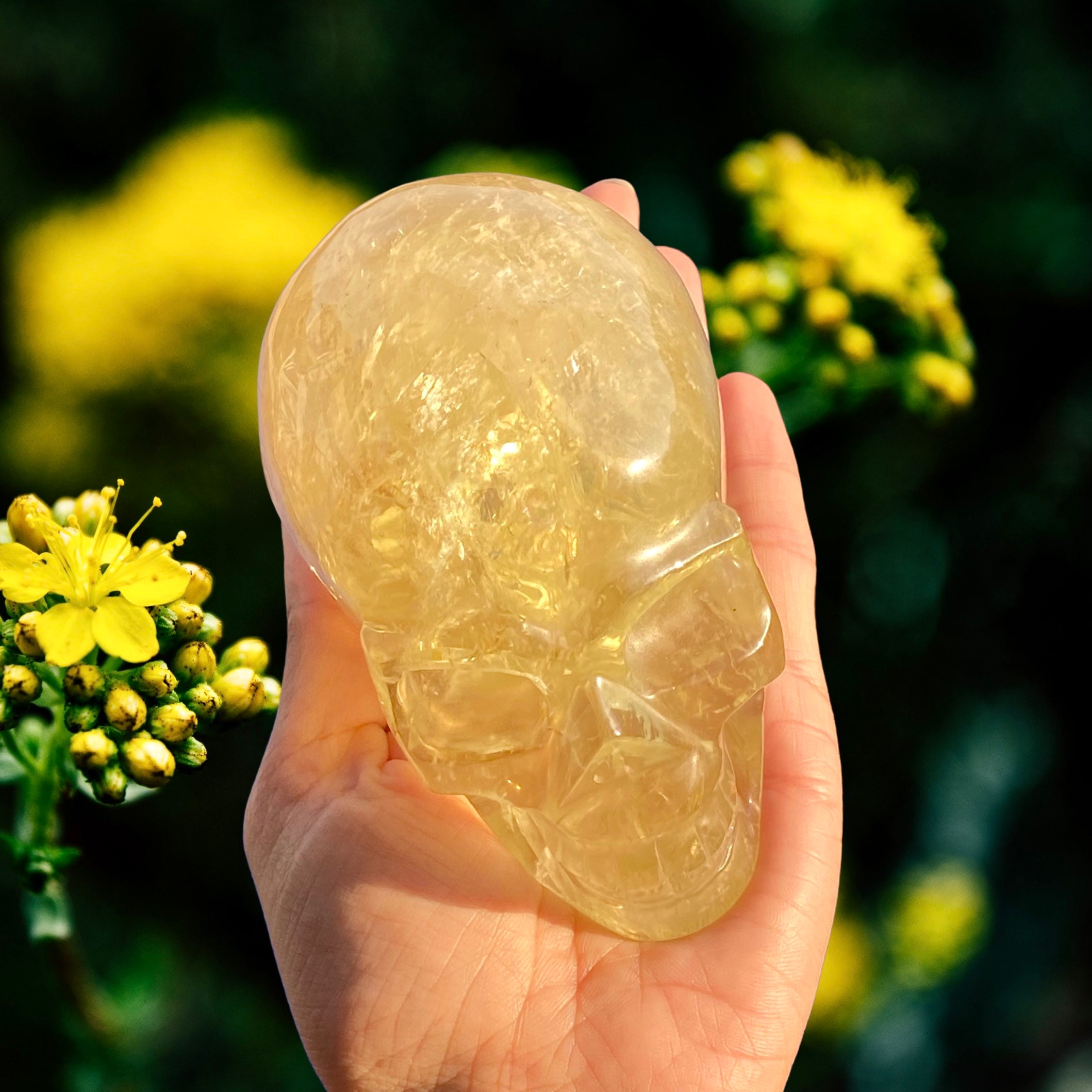 Large Citrine Skull