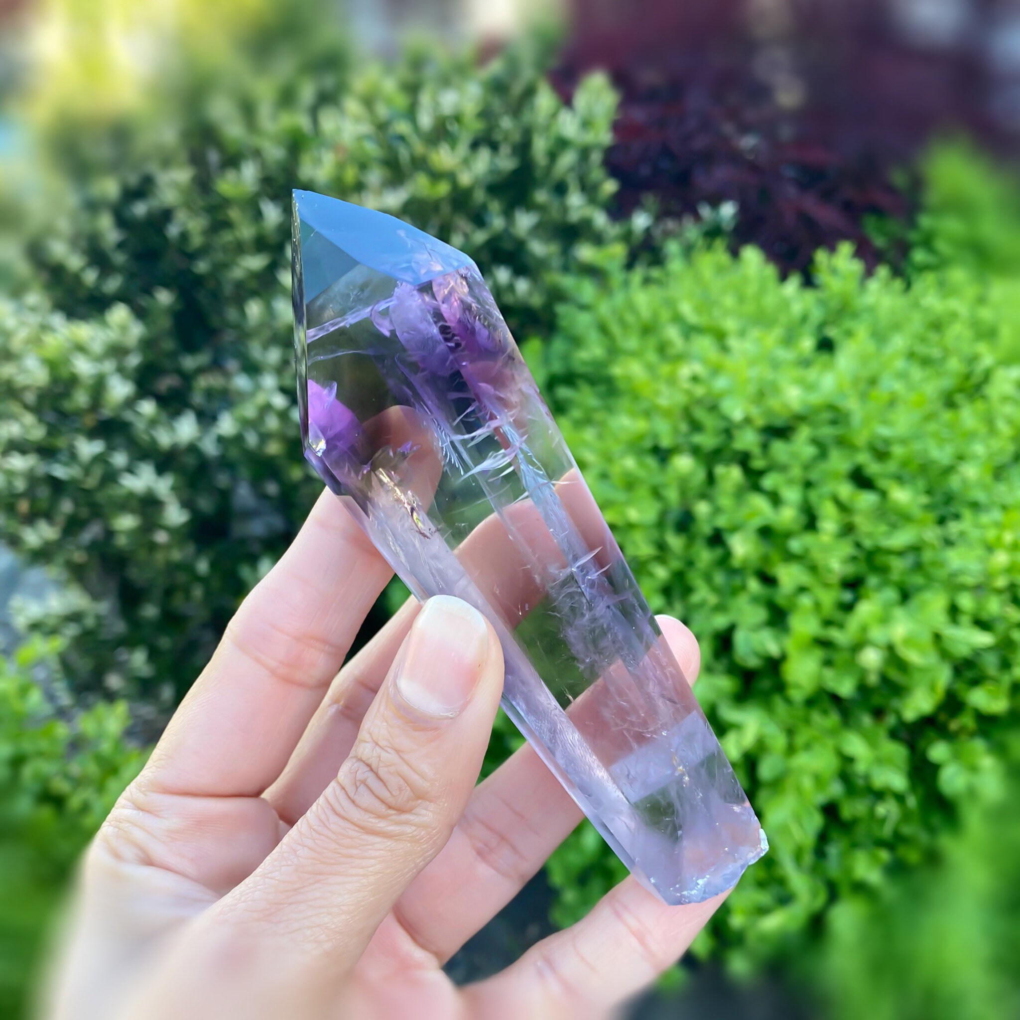 Polished Amethyst Root (Royal Amethyst/Dragon Tooth)