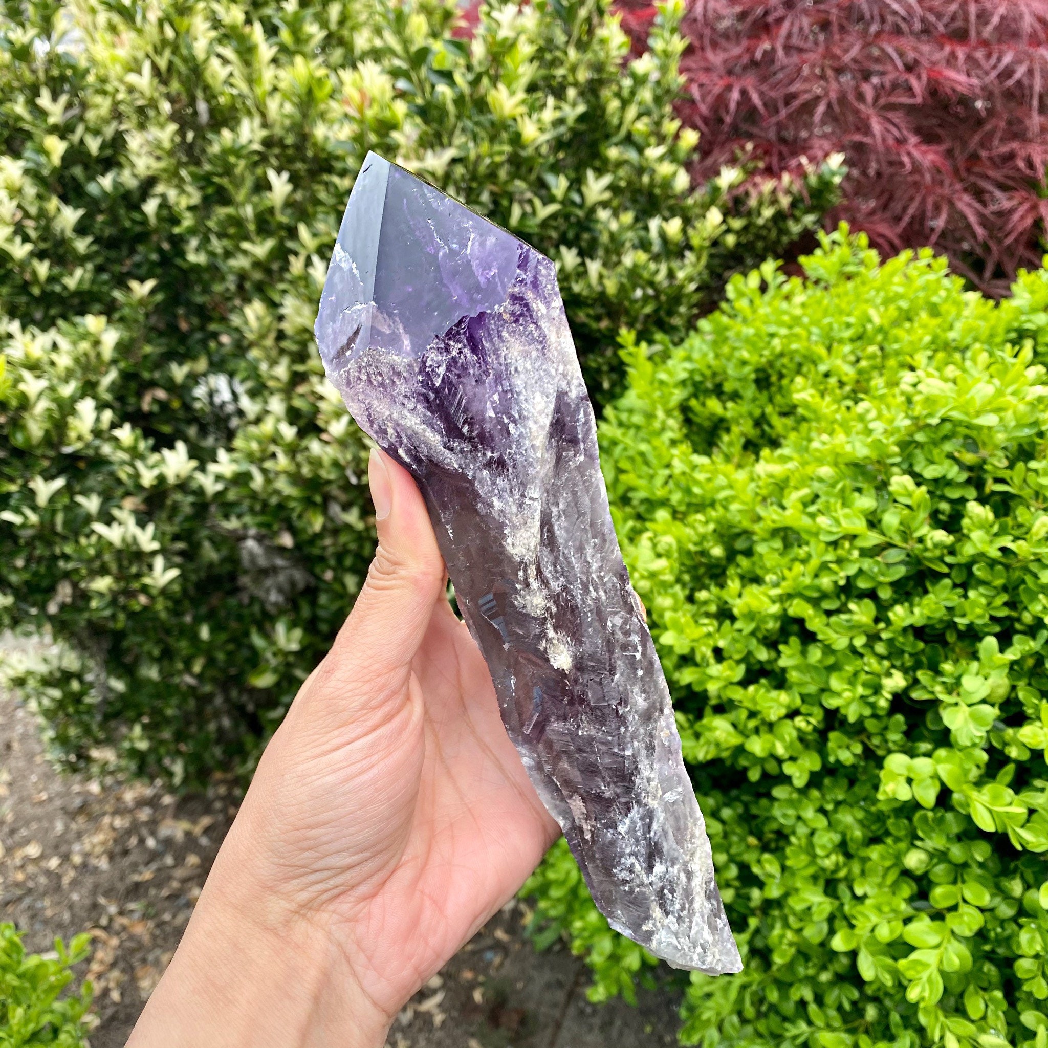 Large Raw Amethyst Root (Royal Amethyst/Dragon Tooth)