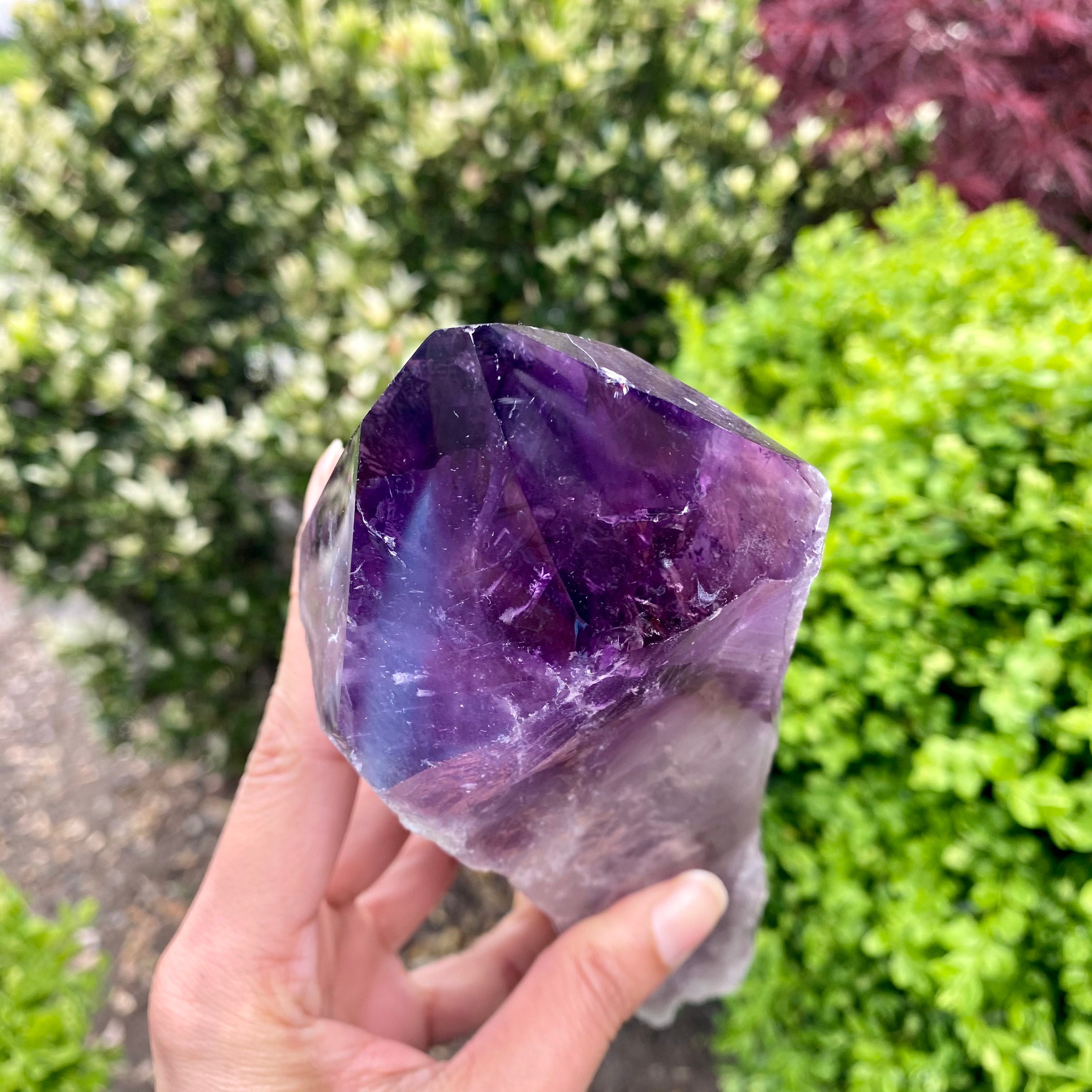 Large Raw Amethyst Root (Royal Amethyst/Dragon Tooth)