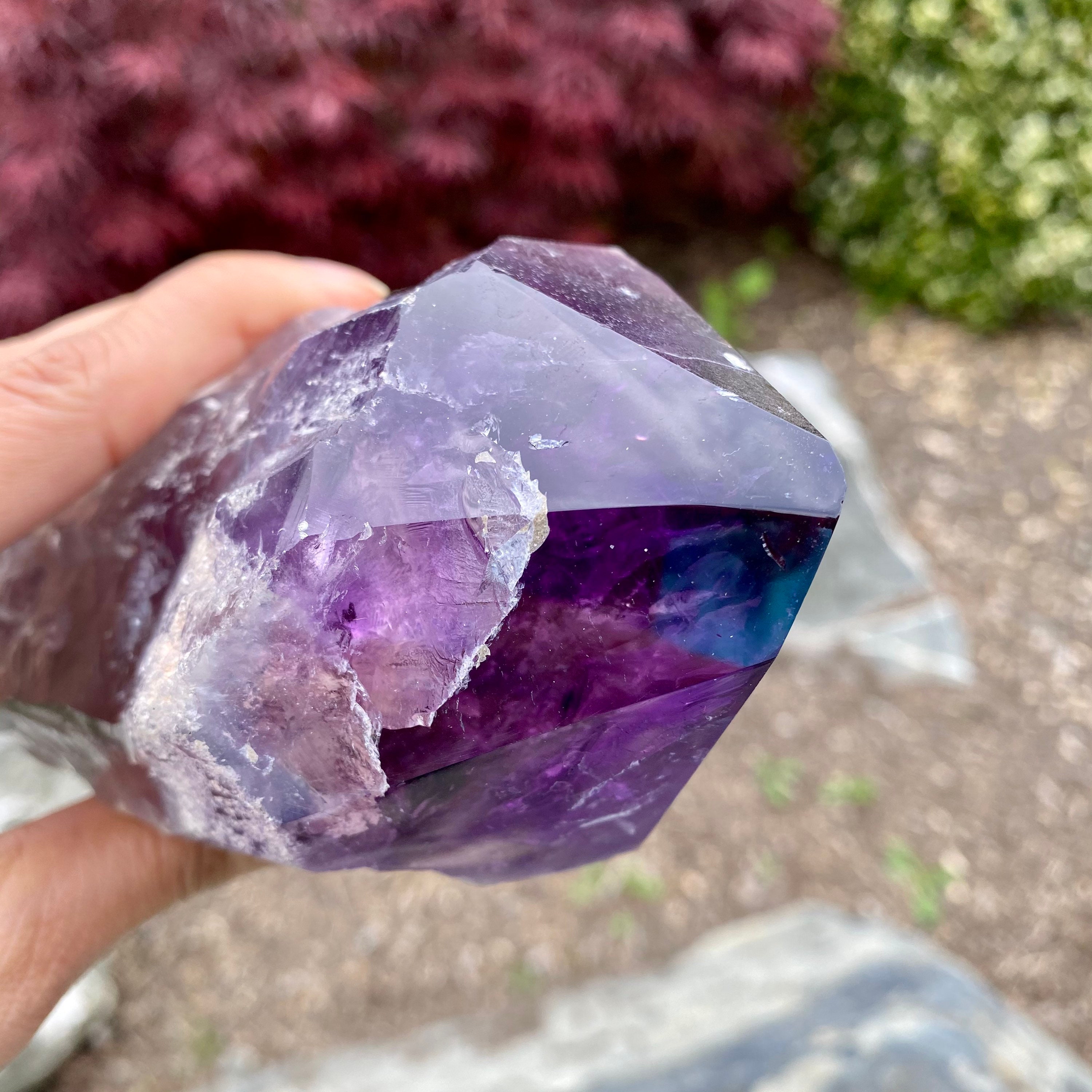 Large Raw Amethyst Root (Royal Amethyst/Dragon Tooth)