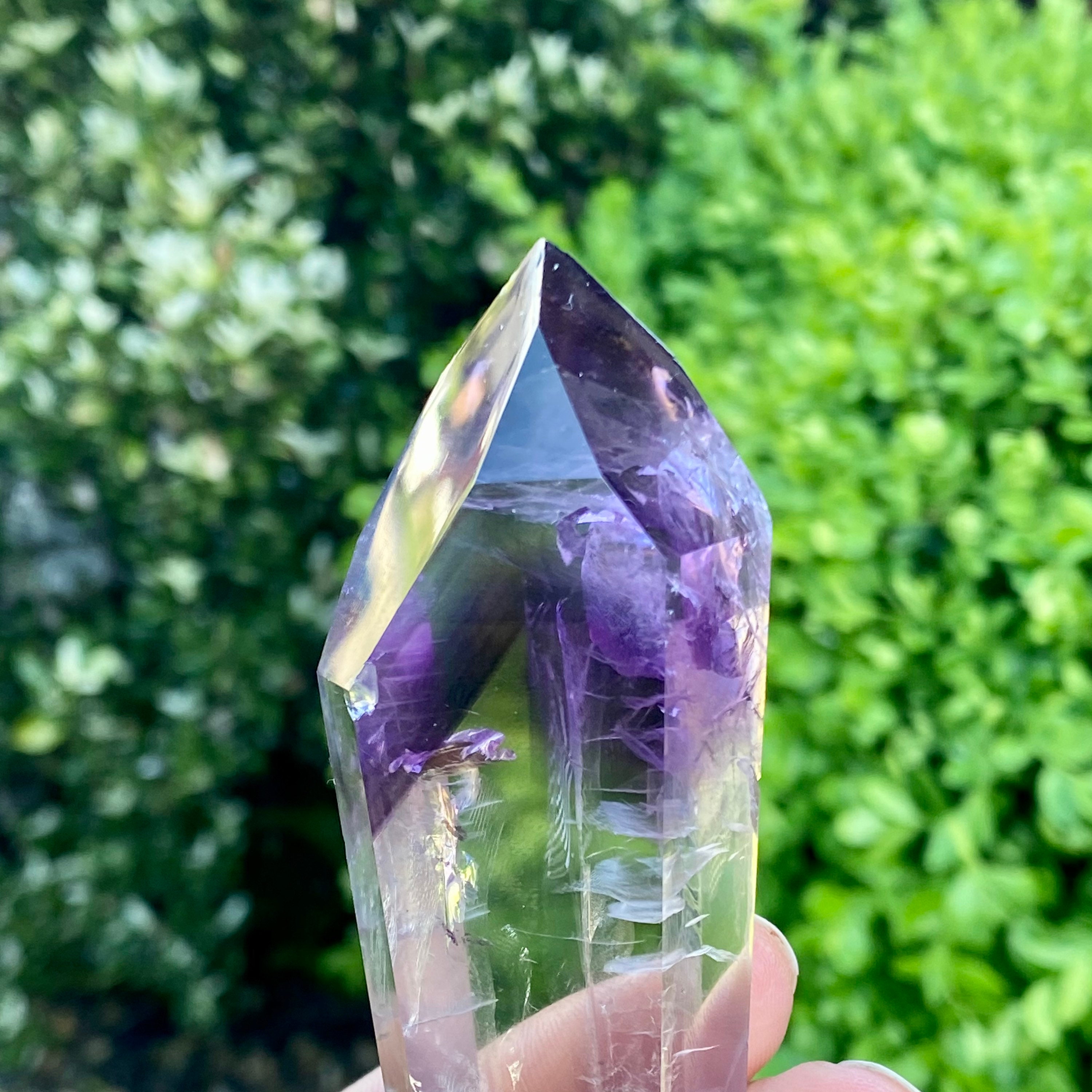 Polished Amethyst Root (Royal Amethyst/Dragon Tooth)