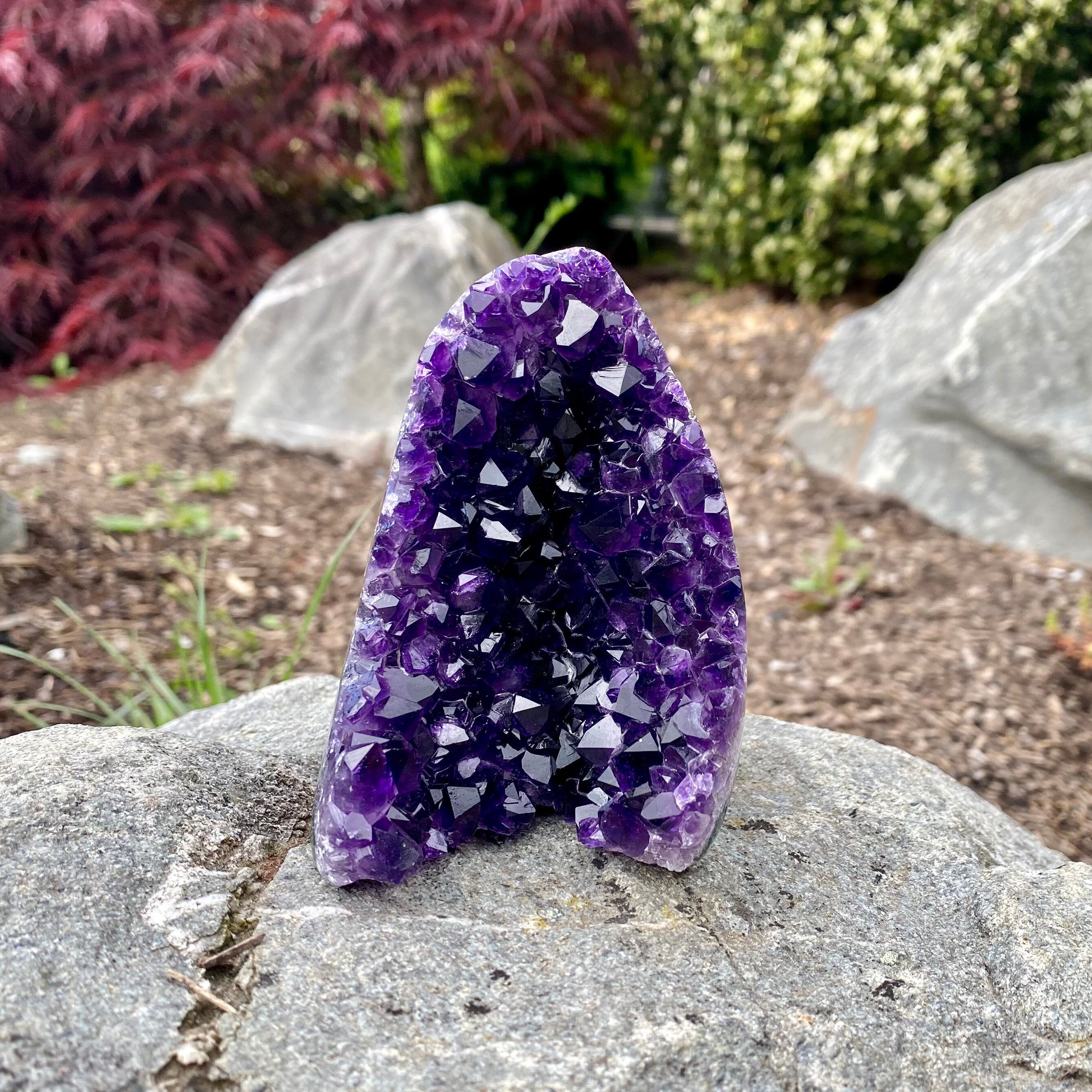 Deep Purple Amethyst Cluster