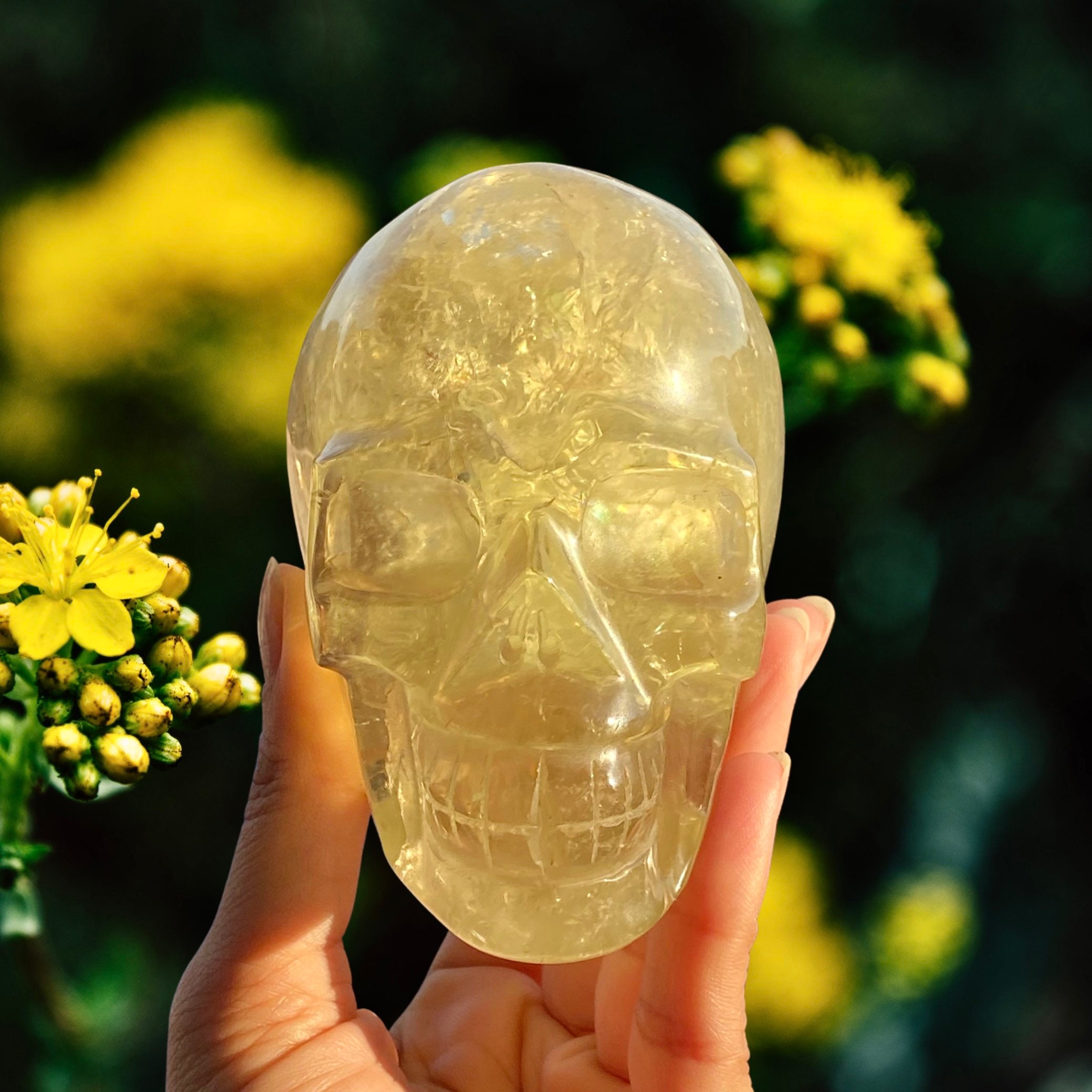 Large Citrine Skull