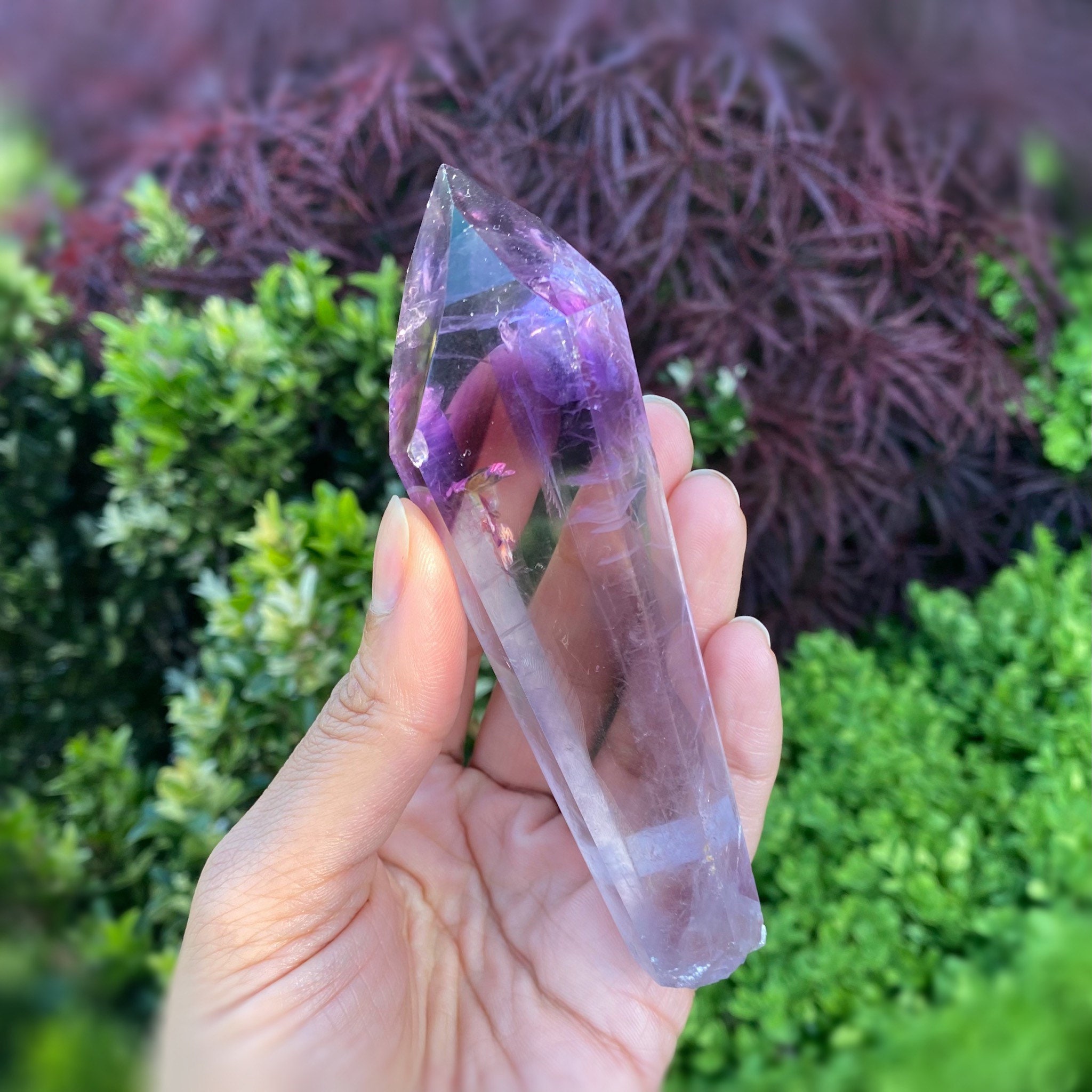 Polished Amethyst Root (Royal Amethyst/Dragon Tooth)
