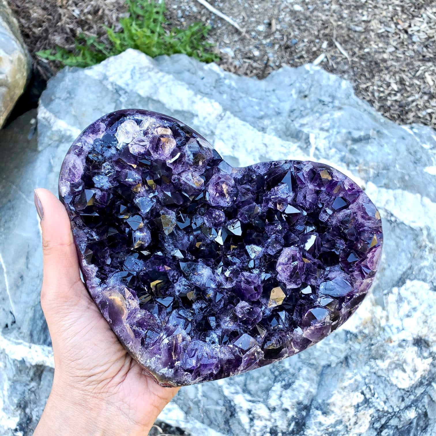 XL Dark Purple Amethyst Heart Cluster