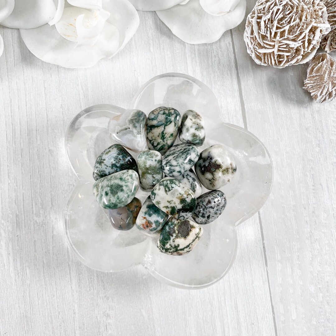 Tree Agate Tumbled Stone, Tree Agate Stone, Tree Agate Worry Stone ...
