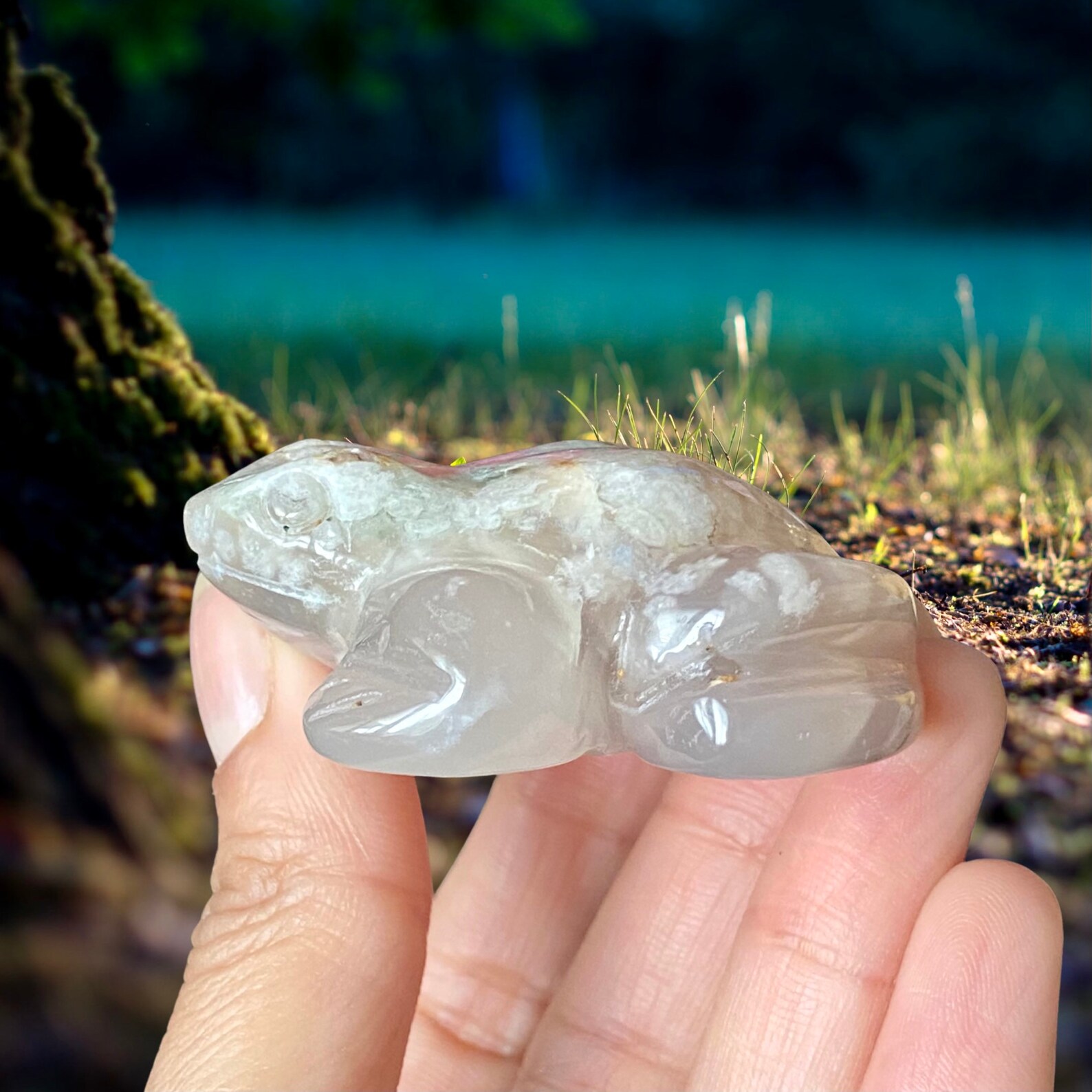 Flower Agate Frog Carving, Crystal Frog, Gemstone Frog, Flower Agate ...