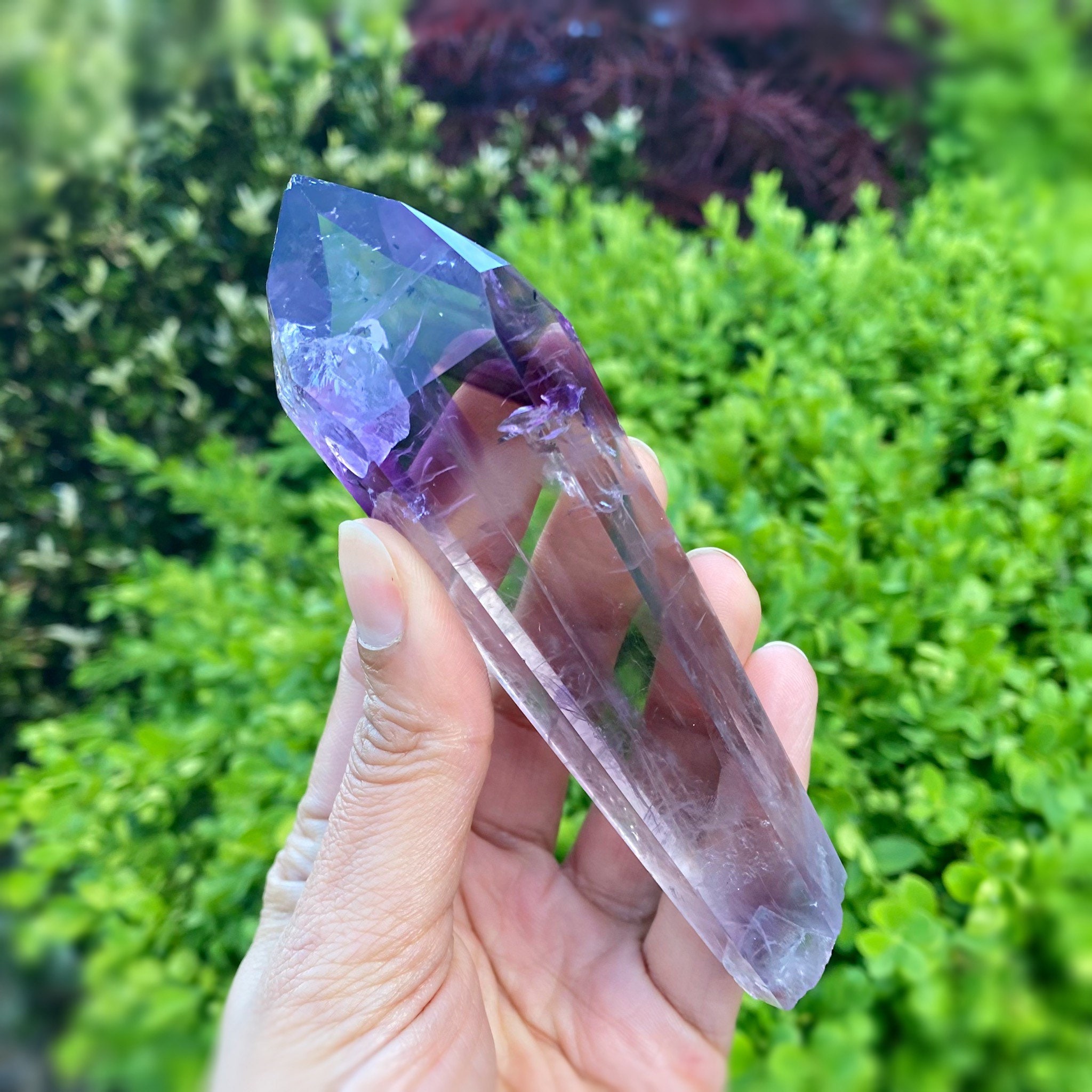 Polished Amethyst Root (Royal Amethyst/Dragon Tooth)