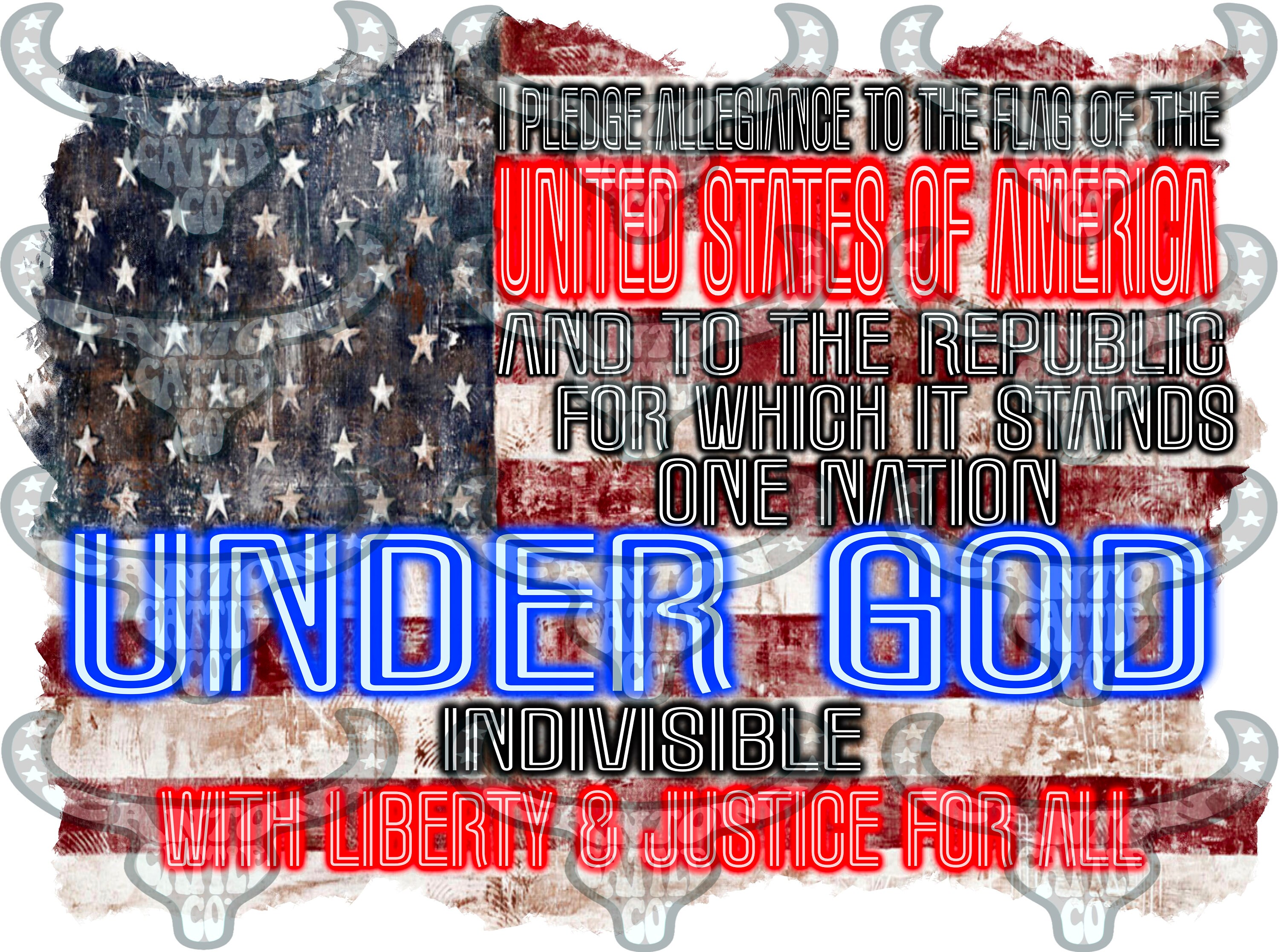 Pledge of Allegiance, Neon, Patriot, 4th of July, American Flag, Use ...