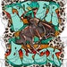 Let 'er Buck, Bucking Bronco, Western, Punchy, PNG, INSTANT DOWNLOAD ...