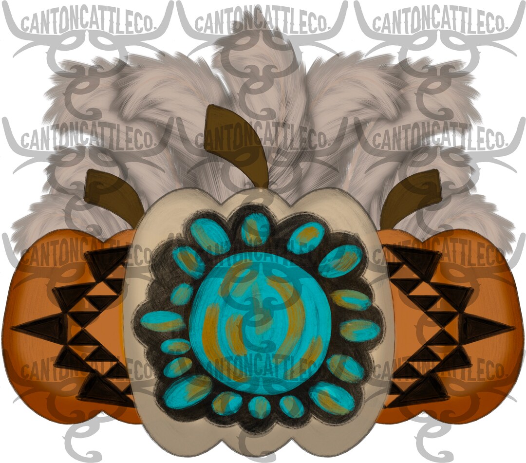 Turquoise and Aztec Pumpkins With Pampas Grass, Western, Punchy, Fall ...