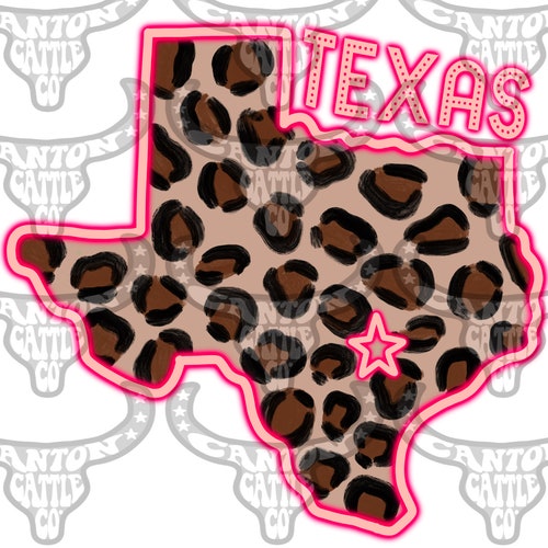 Neon and Leopard Texas Sign Western Punchy PNG INSTANT | Etsy