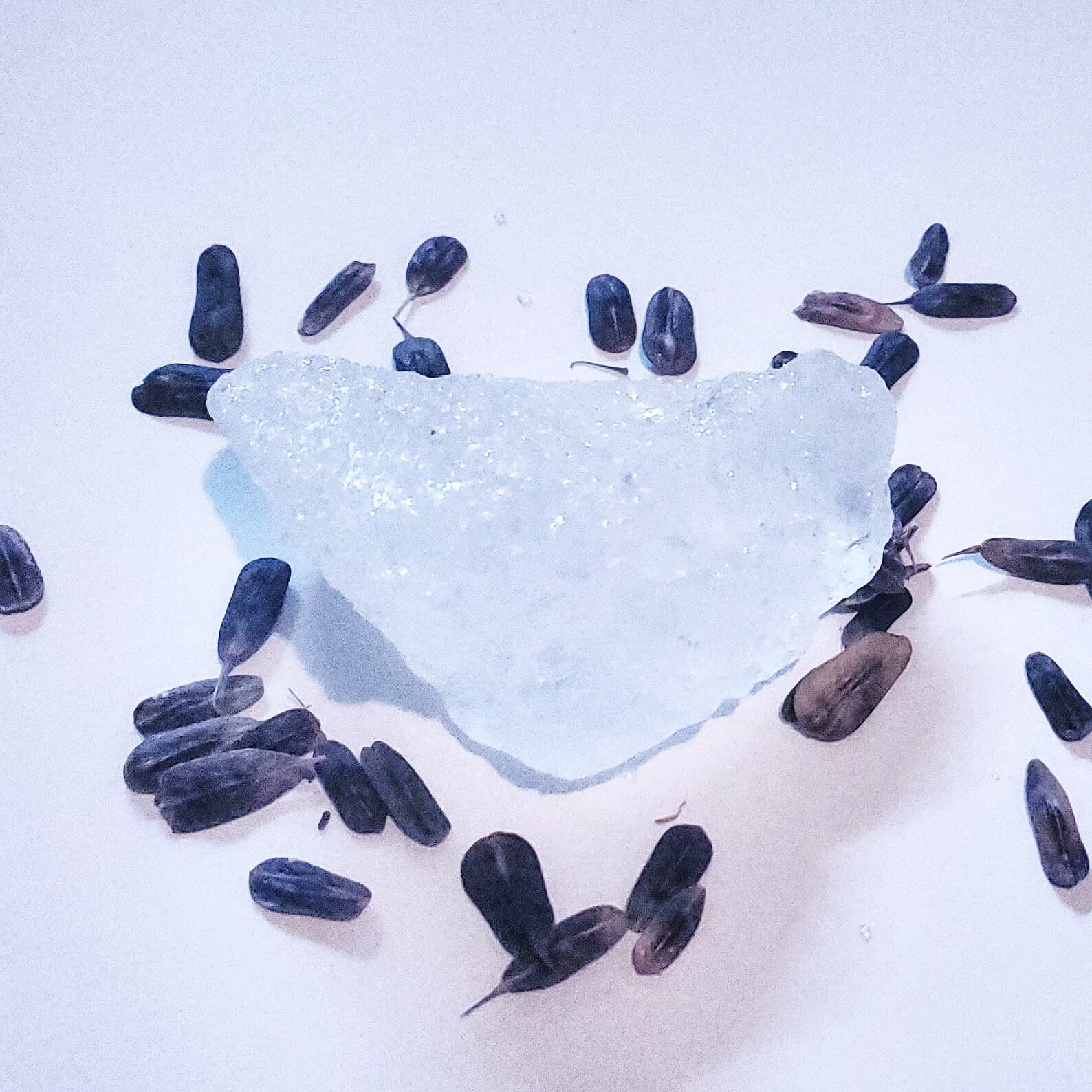 Blue Woad Dye Kit - Etsy