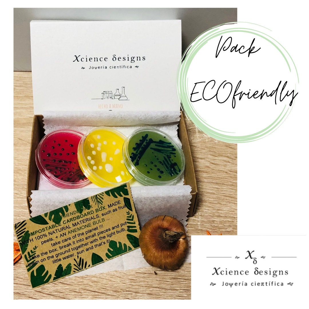 Ecopack SMALL PETRI SOAP, Petri Dish, Culture Soap, Science Soaps ...