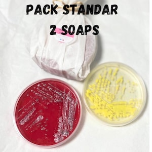 PETRI SOAP, Petri Dish, Cultive Soap, Science Soaps, Biology Soaps ...