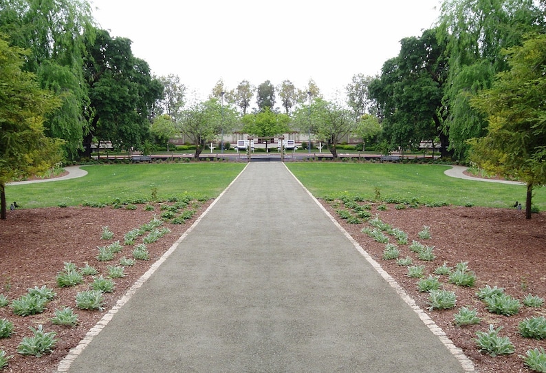 Terrakoat EX Decomposed Granite Stabilizer Keeps DG Rock Hard - Etsy