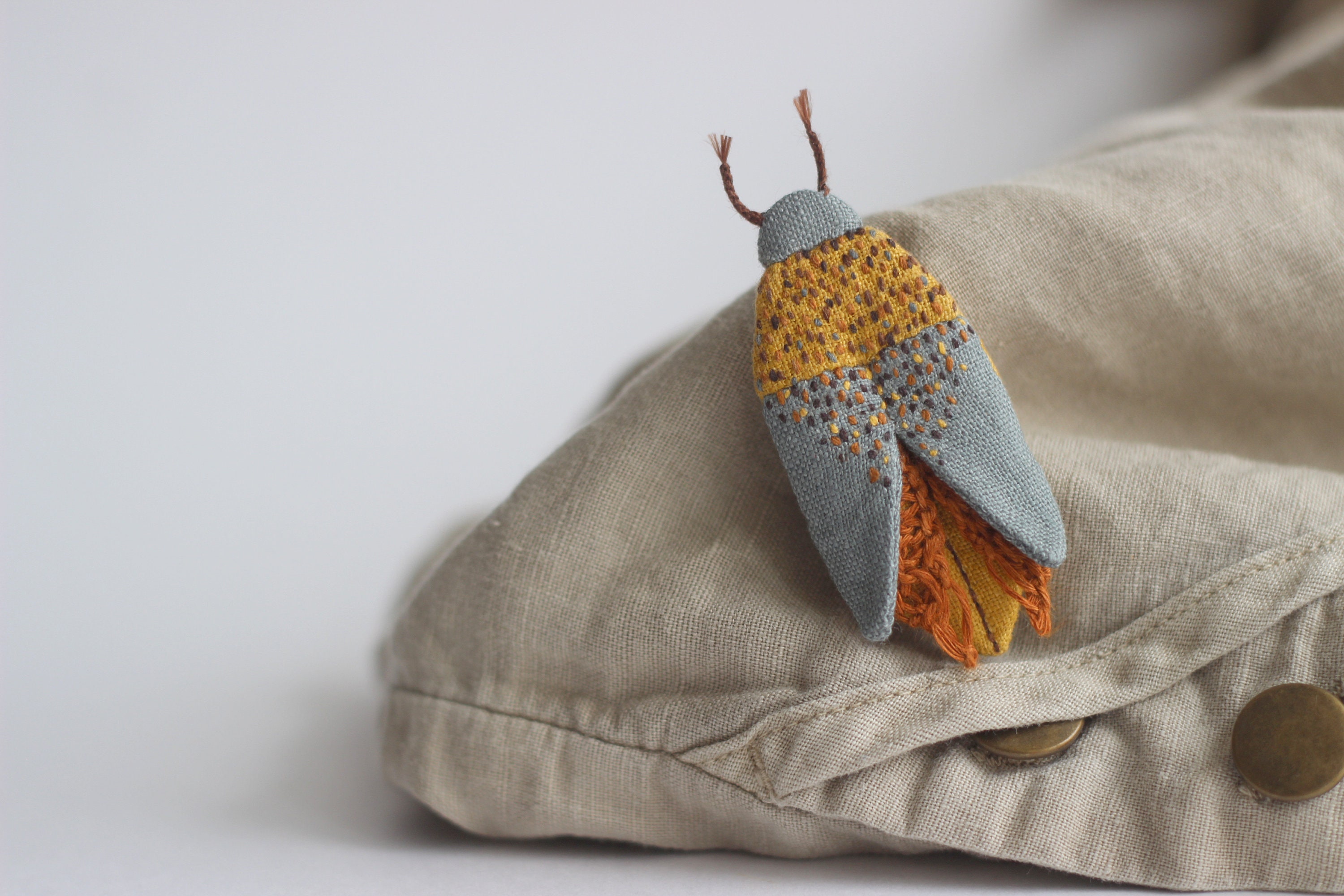 Beetle Brooch, Insect Jewelry, Insect Brooch, Insect Wall Art, Straw ...