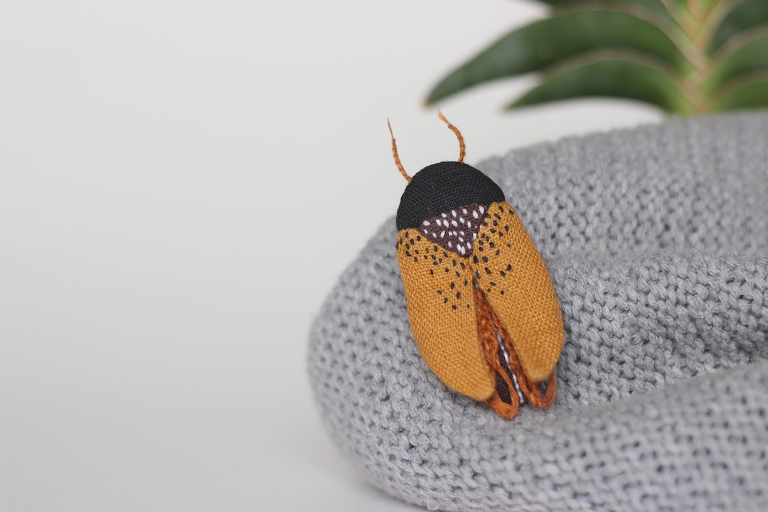 Beetle Brooch, Insect Brooch, Bug Brooch, Insect Jewelry, Insect Wall ...