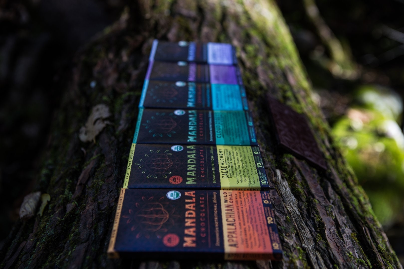 Variety Six Pack - Etsy