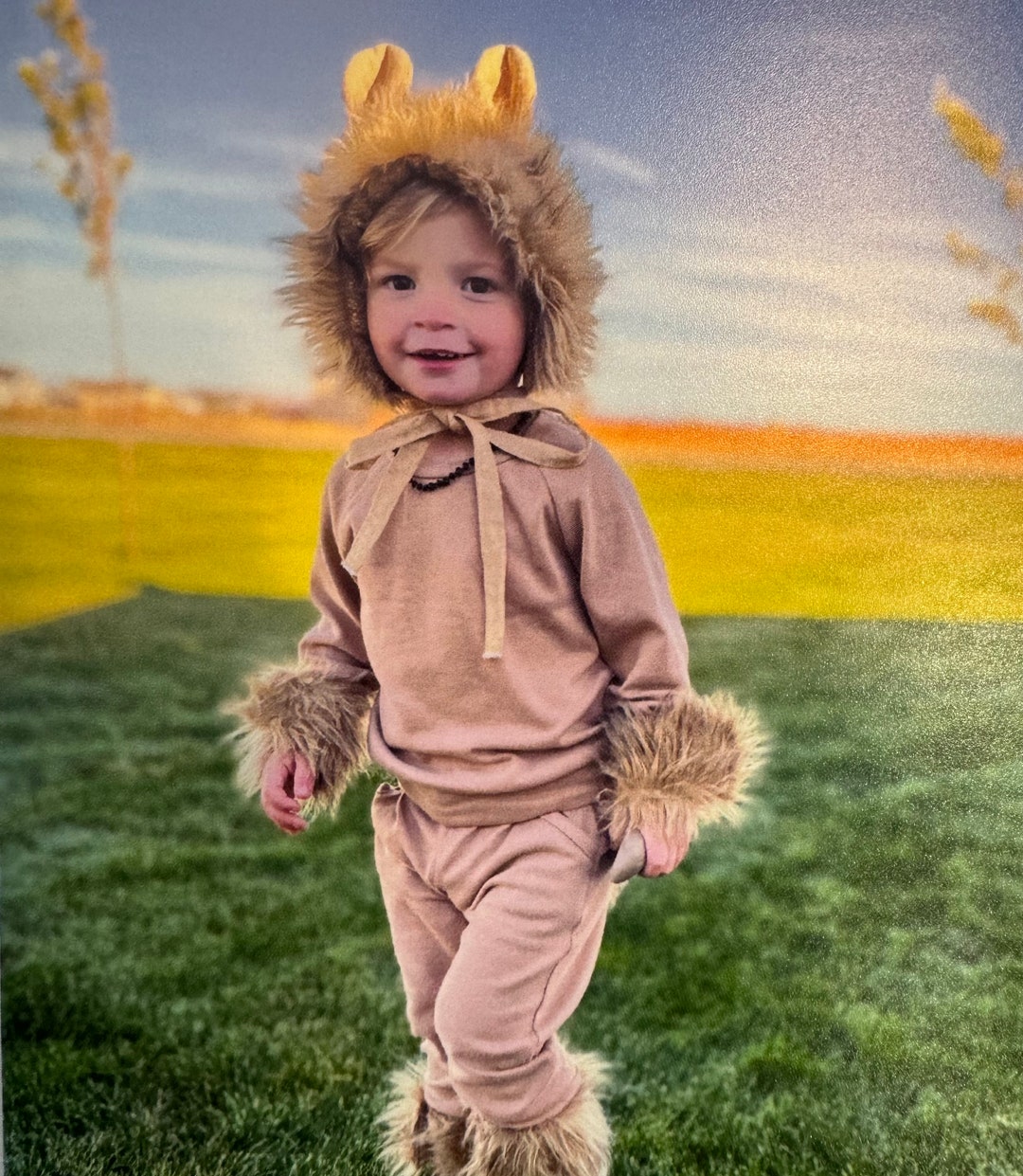 Lion Hat / Baby Lion Set / Baby Lion Costume / Lion Baby Set / Lion ...