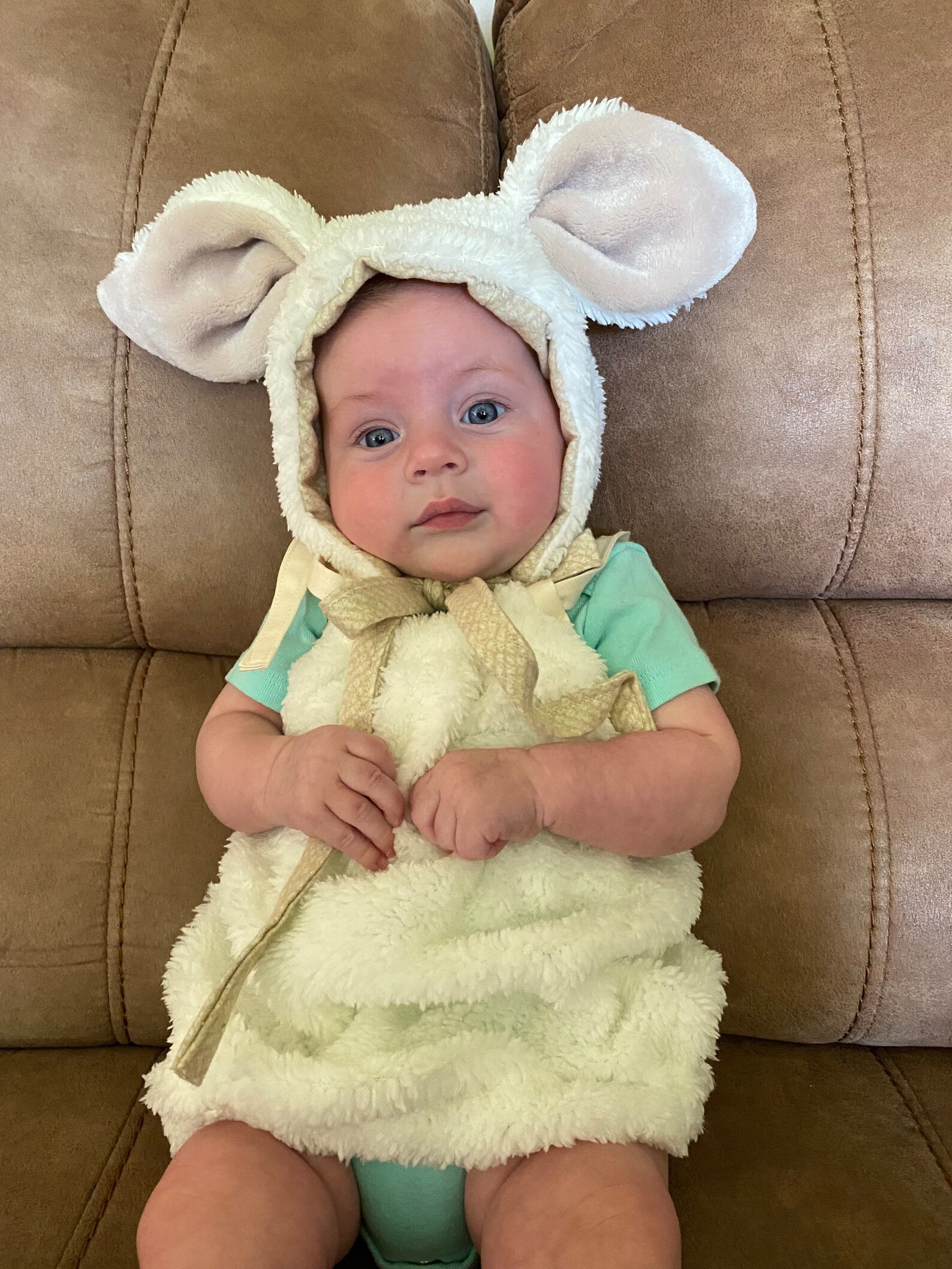 Lamb Costume/baby Lamb Costume/lamb Baby Hat/sheep - Etsy