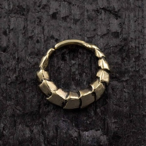 Biomechanical - 6mm Septum - Alien Xenomorph - 8mm Septum - Nose Rings ...