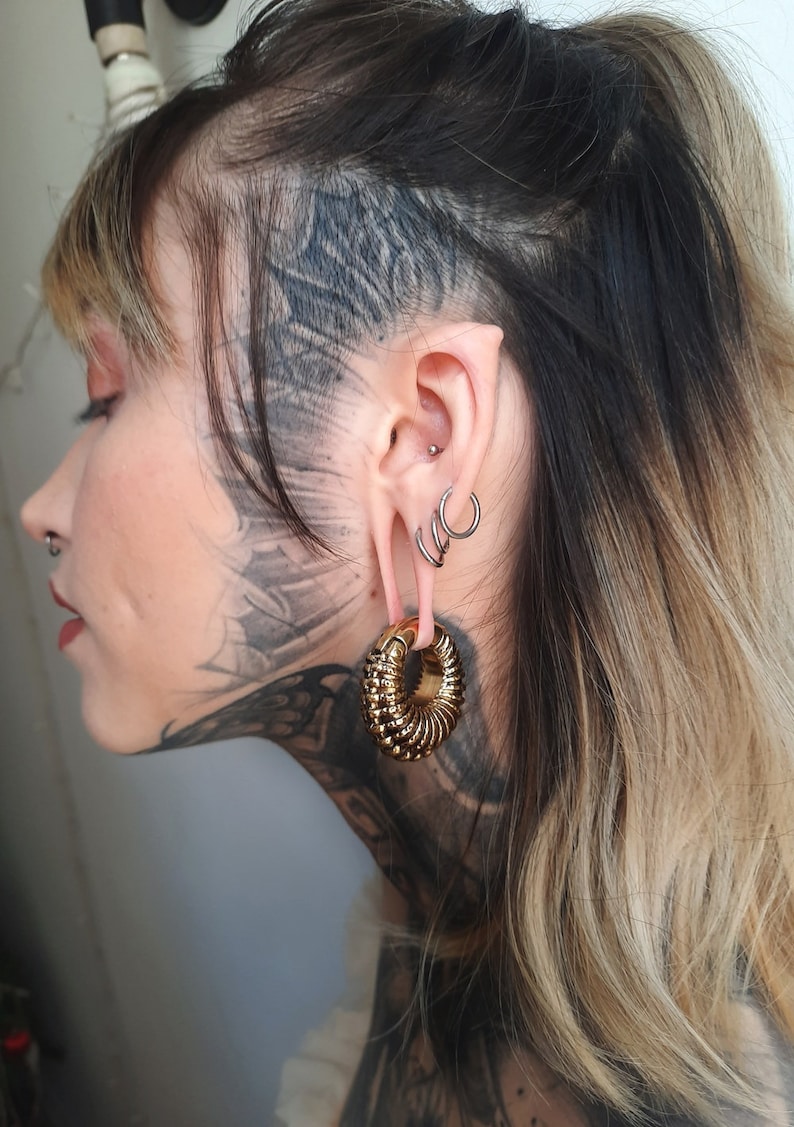 Brass Ear Weights for Stretched Lobes | Heavy Fossil Stretcher | Ear ...