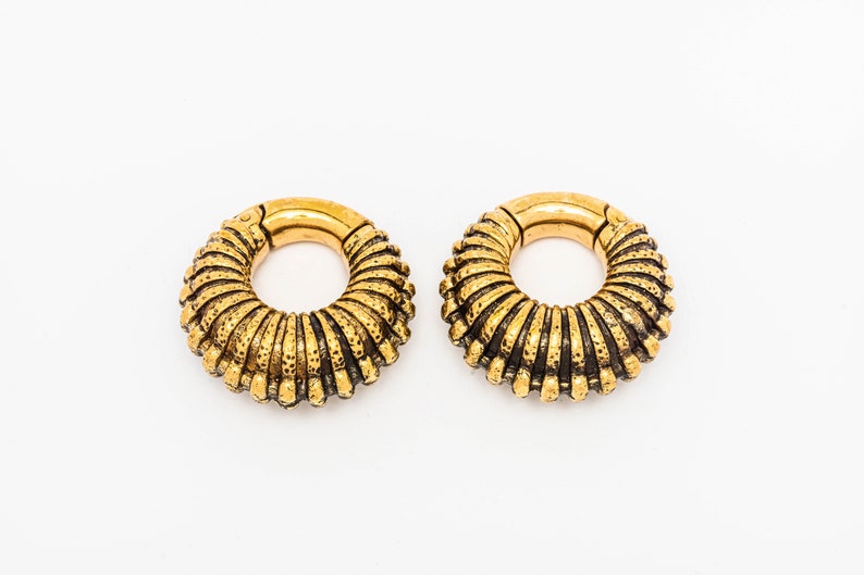 Brass Ear Weights for Stretched Lobes | Heavy Fossil Stretcher | Ear ...