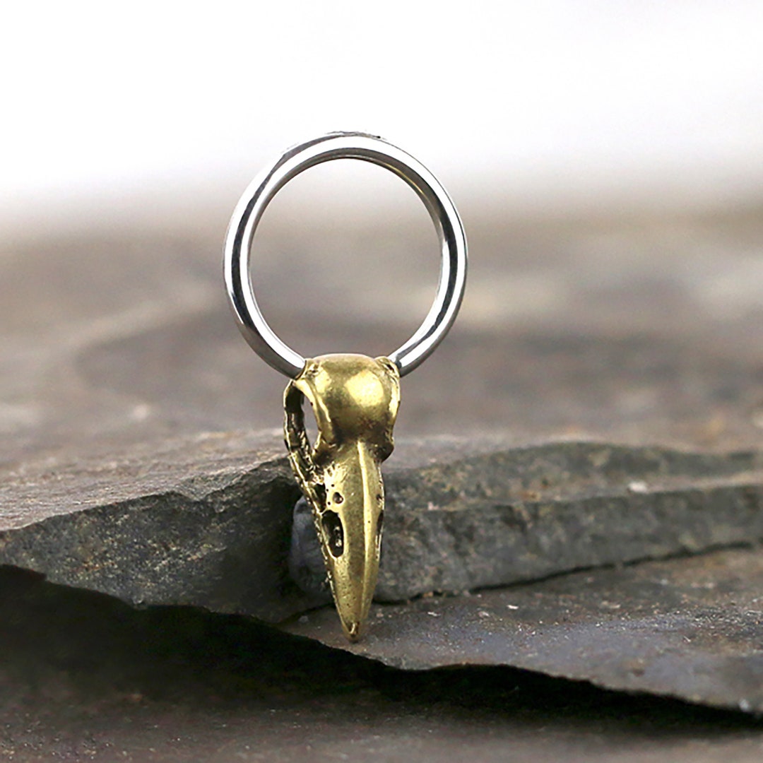 Gold Crow Skull Hoop Earrings – Raven Skull Piercing – Nipple, Septum ...