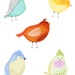 Cute Baby Birds Clip Art, Baby Birds Clipart - Etsy