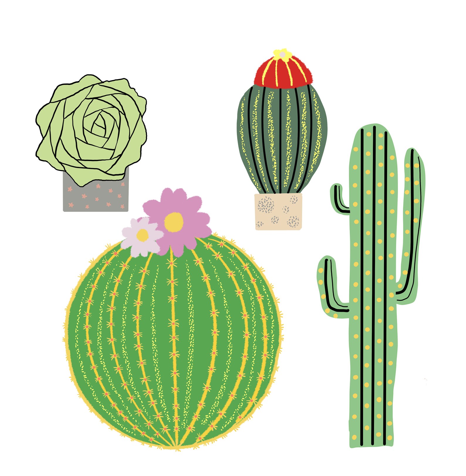 Cactus Clipart Cute Cactus Clipart - Etsy