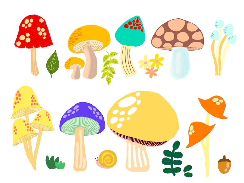 Mushroom Clipart Mushroom Clip Art Set Cute Mushroom Clipart - Etsy