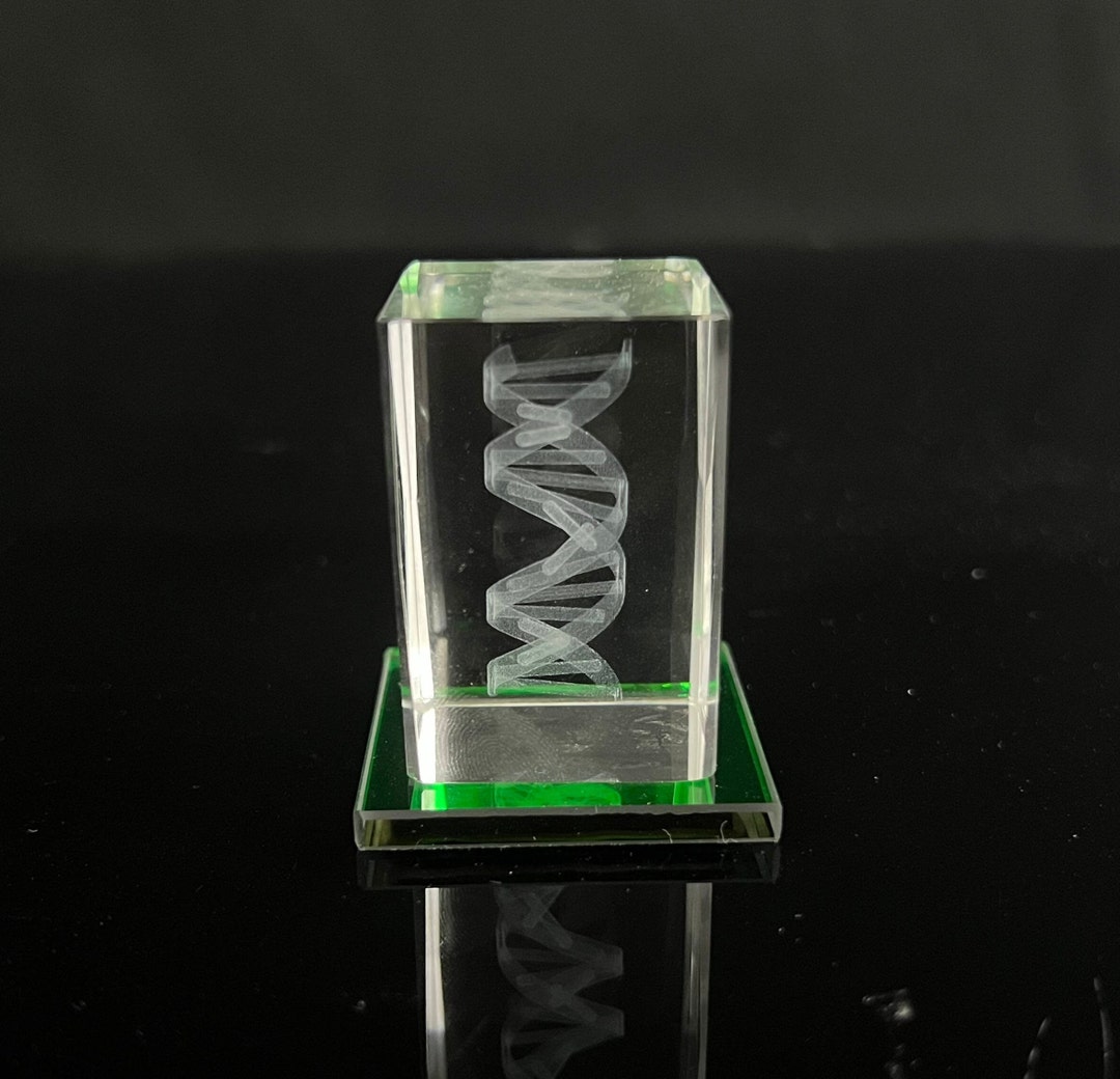 3D Engraved Crystal DNA Paperweight, Small. Science, Chemistry, Biology ...