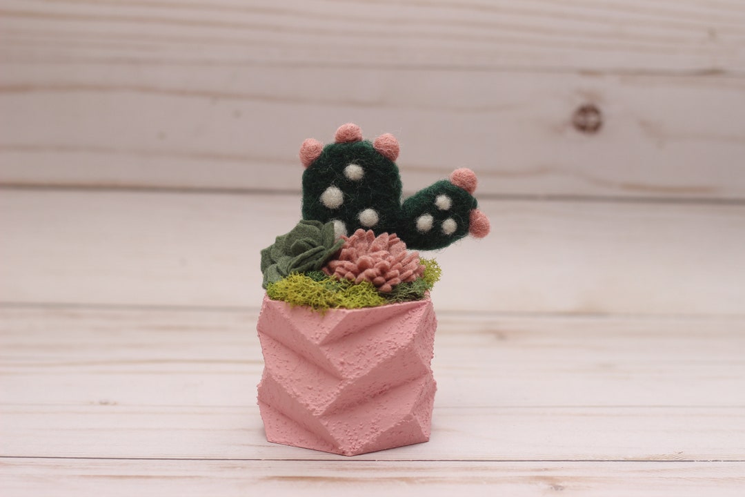 Felt Succulent || Forever Succulent Decor || Succulent Gift - Etsy