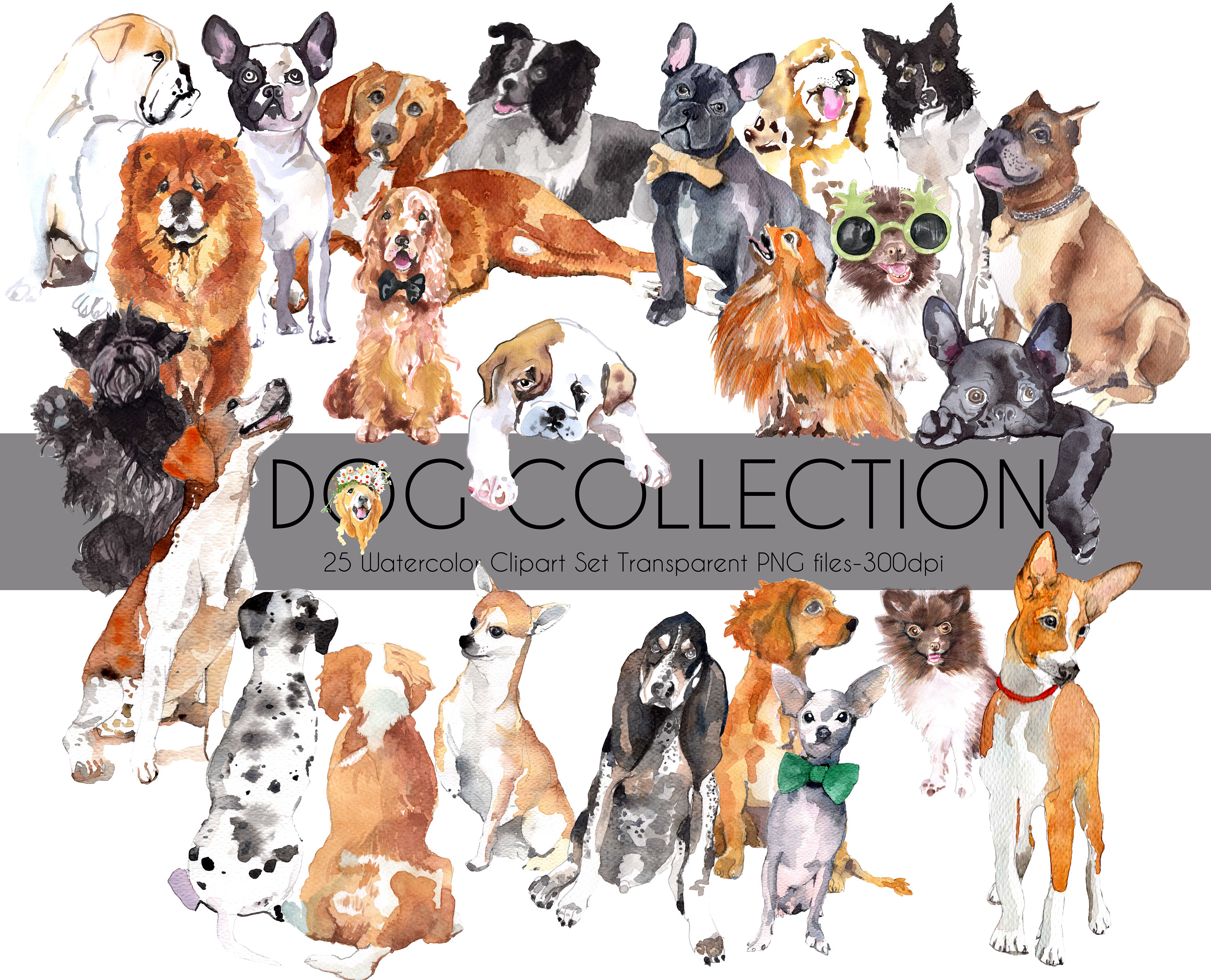 Watercolor Dog Collection, Hand Painted Elements, Pet Lovers Clipart ...