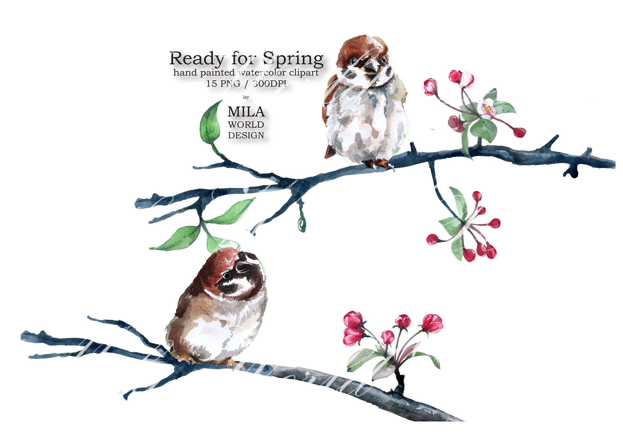 Ready for Spring Watercolor Clip Art Hand Painted Sparrow and - Etsy