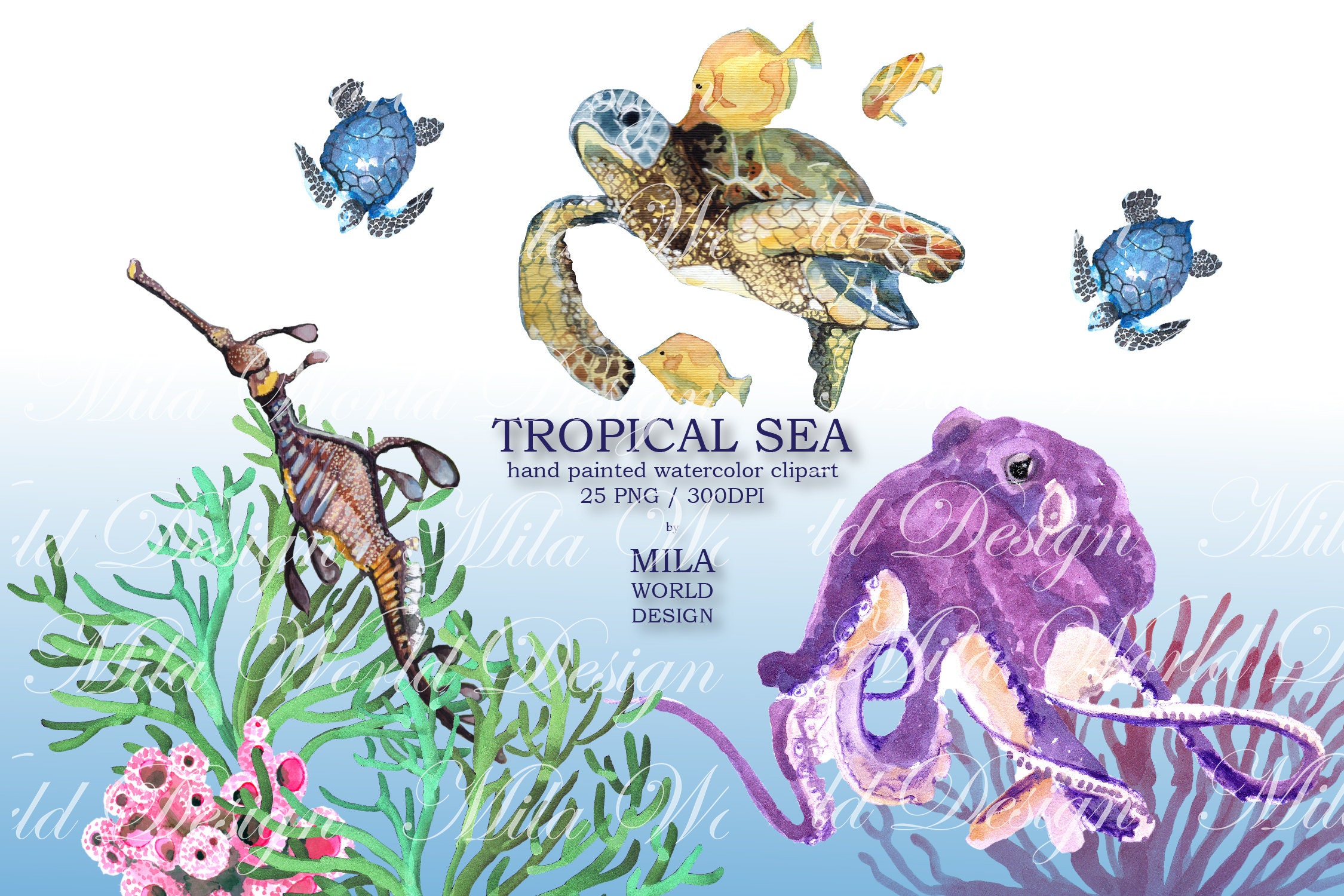 Watercolor Clip Art Tropical Sea Ocean Creatures Instant - Etsy