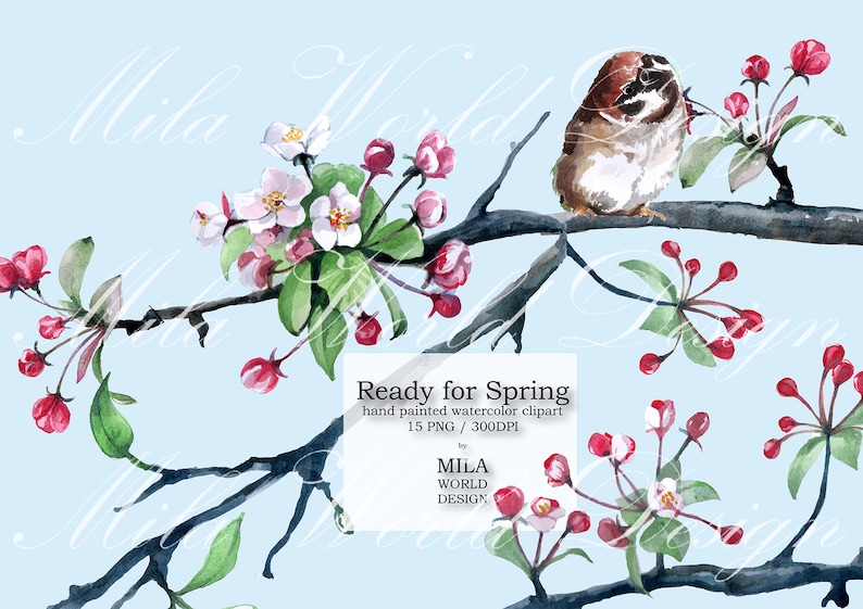 Ready for Spring Watercolor Clip Art Hand Painted Sparrow and - Etsy