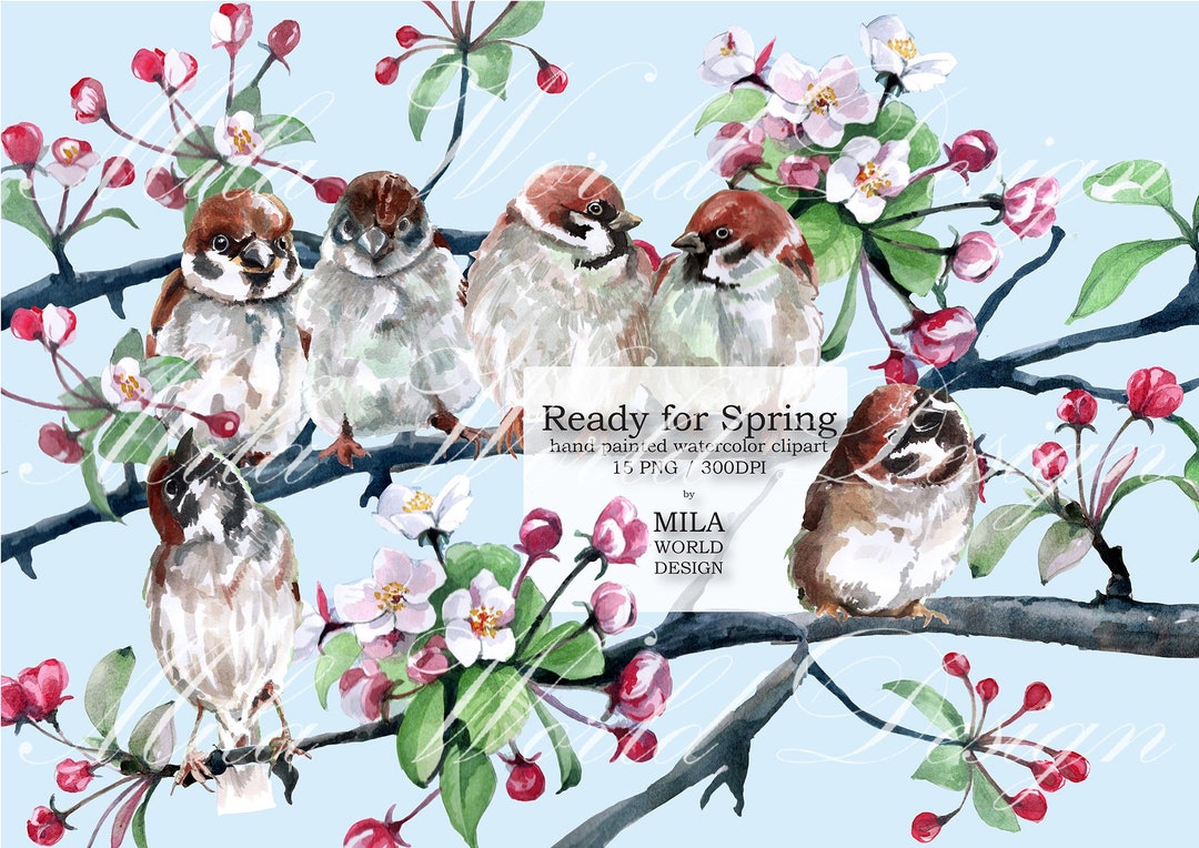 Ready for Spring Watercolor Clip Art, Hand Painted Sparrow and Cherry ...