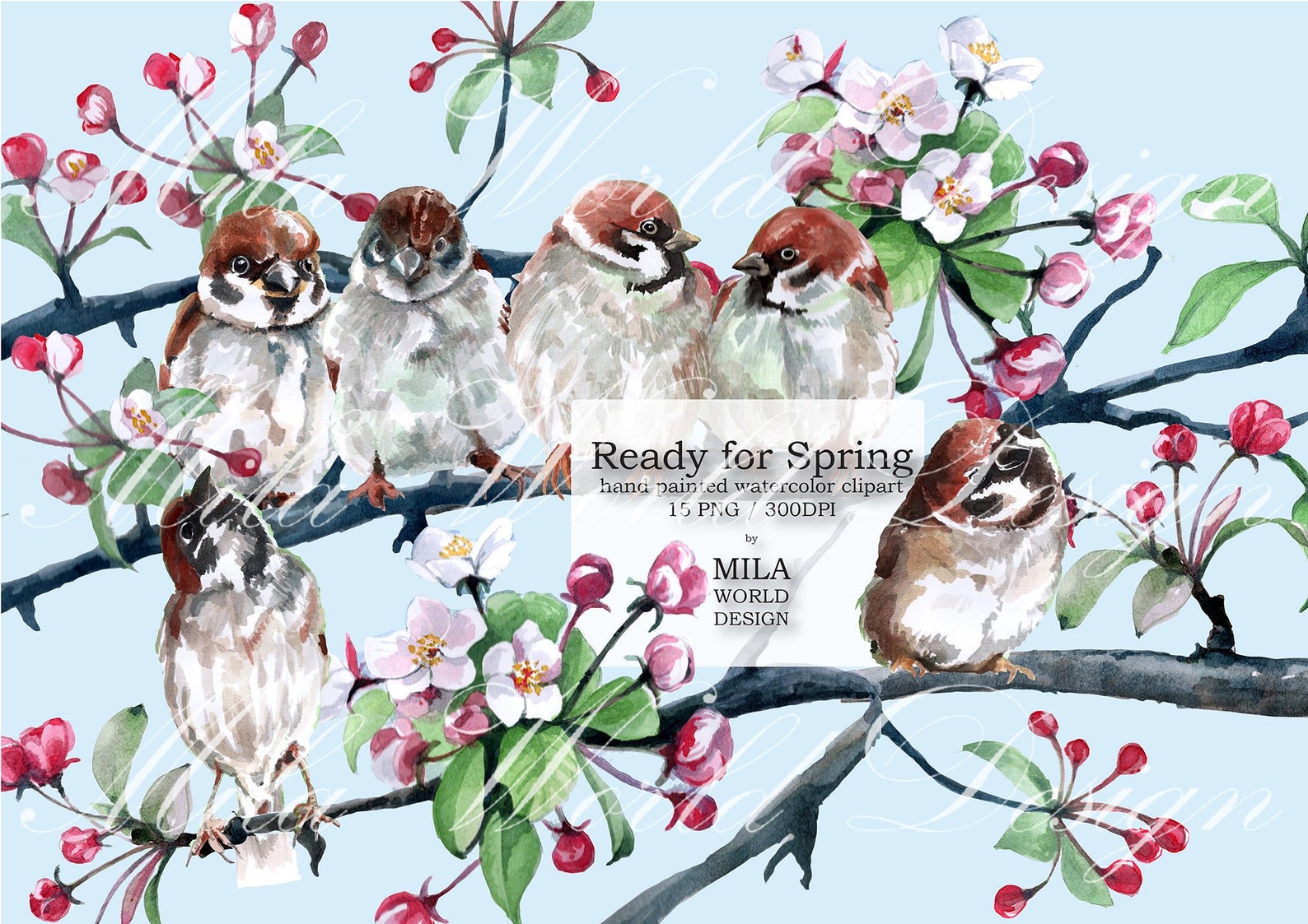 Ready for Spring Watercolor Clip Art, Hand Painted Sparrow and Cherry ...